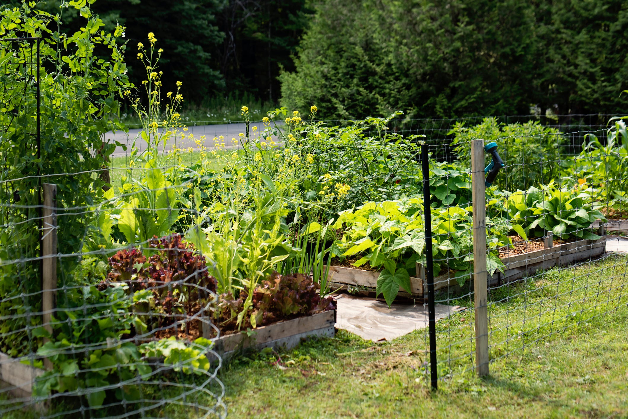Tend Your Garden - by Bill Bonner - Bonner Private Research