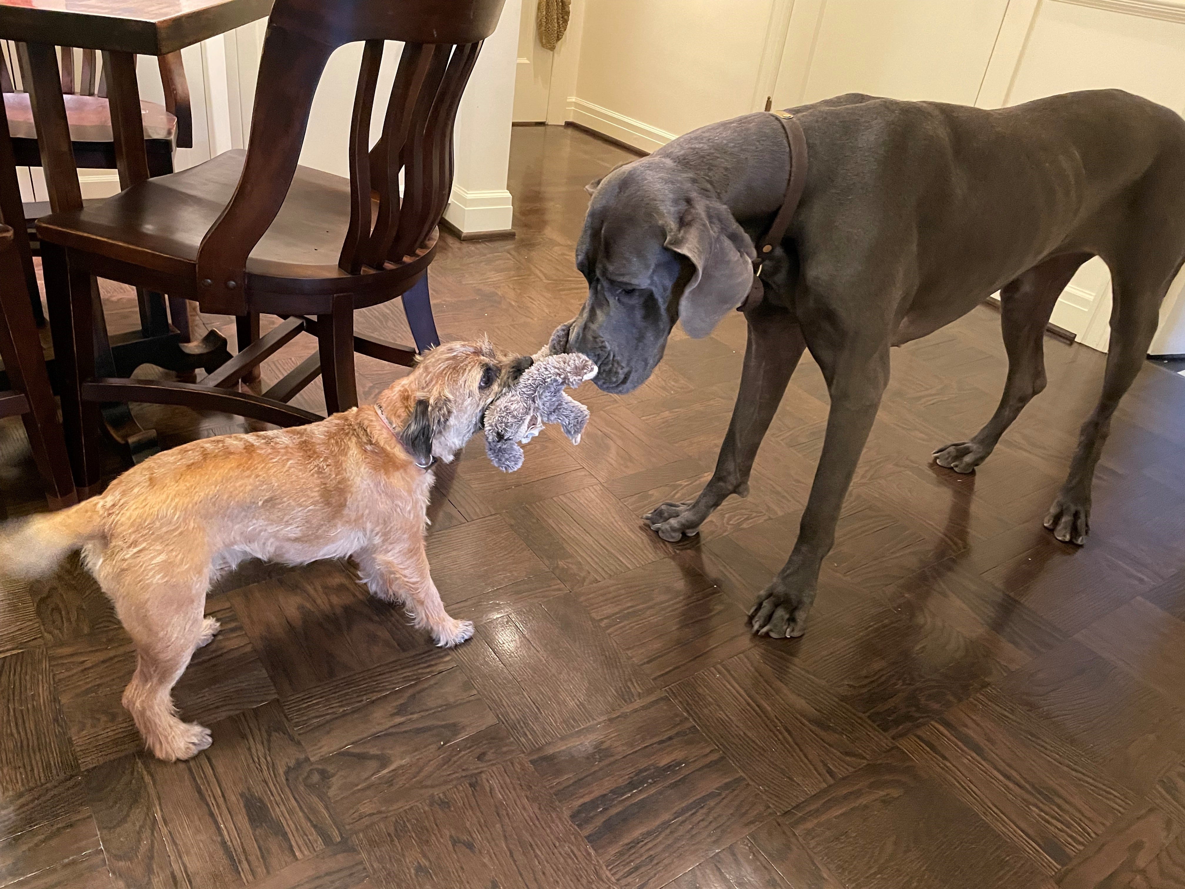 How the railroad worker bill got derailed - by Tim Gruver