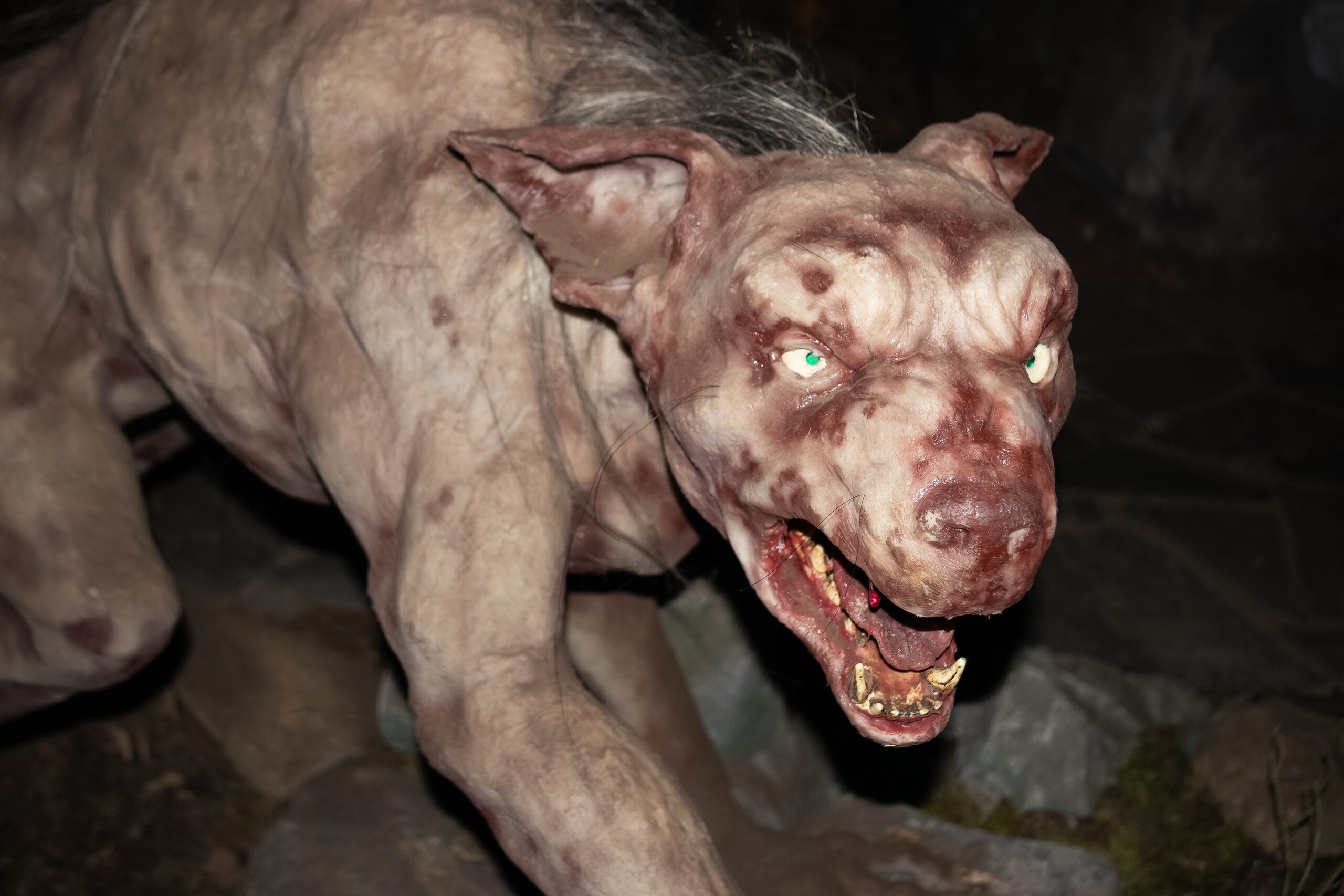 Creepy chupacabra caught on camera in Colorado (video)