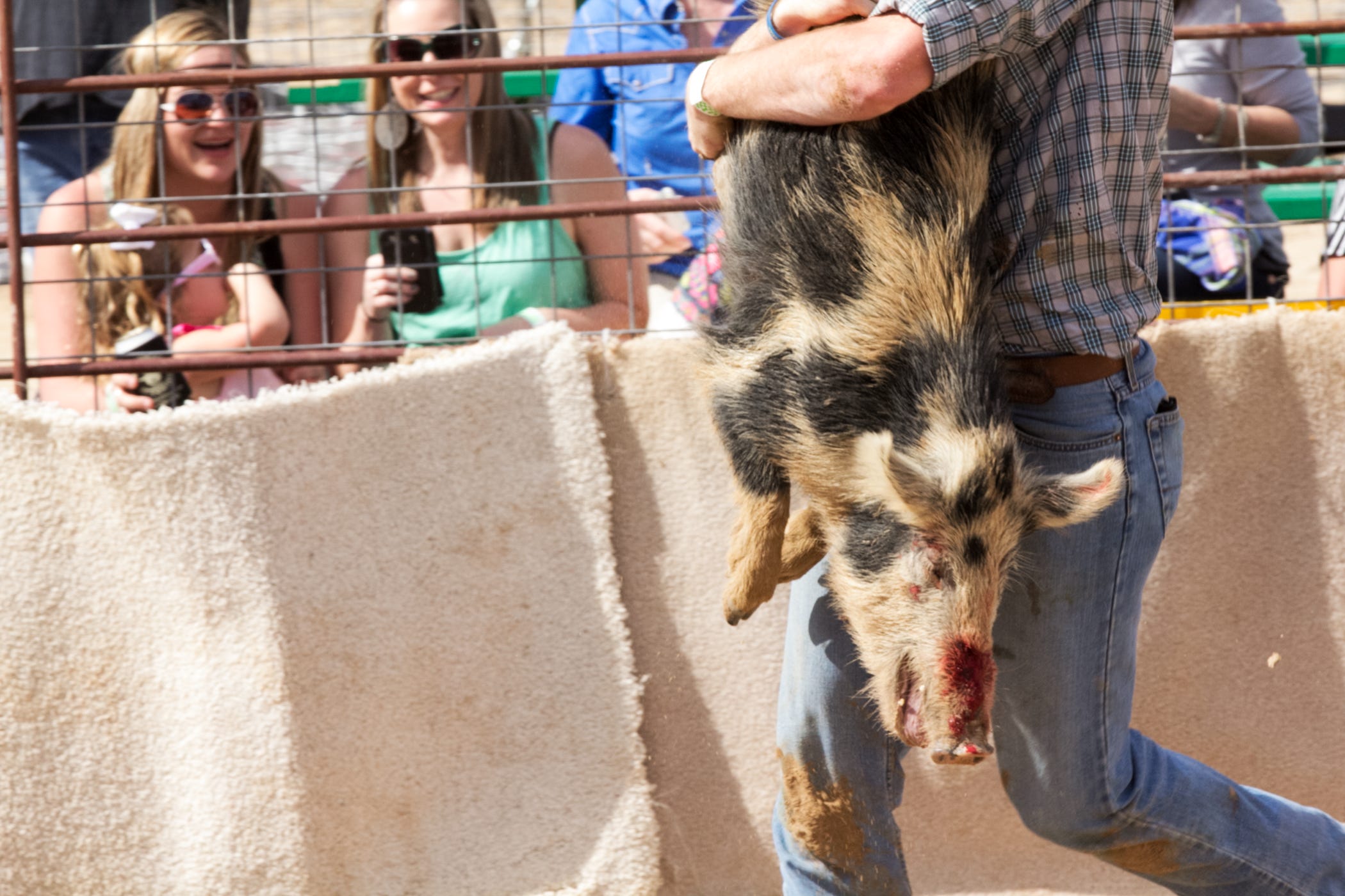 Wild Hog Bagging Sadists In Bandera, Texas