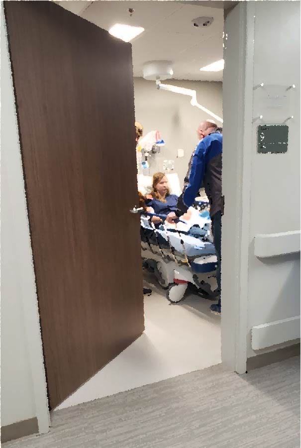 ER & Hospital Documents - by Greta Crawford