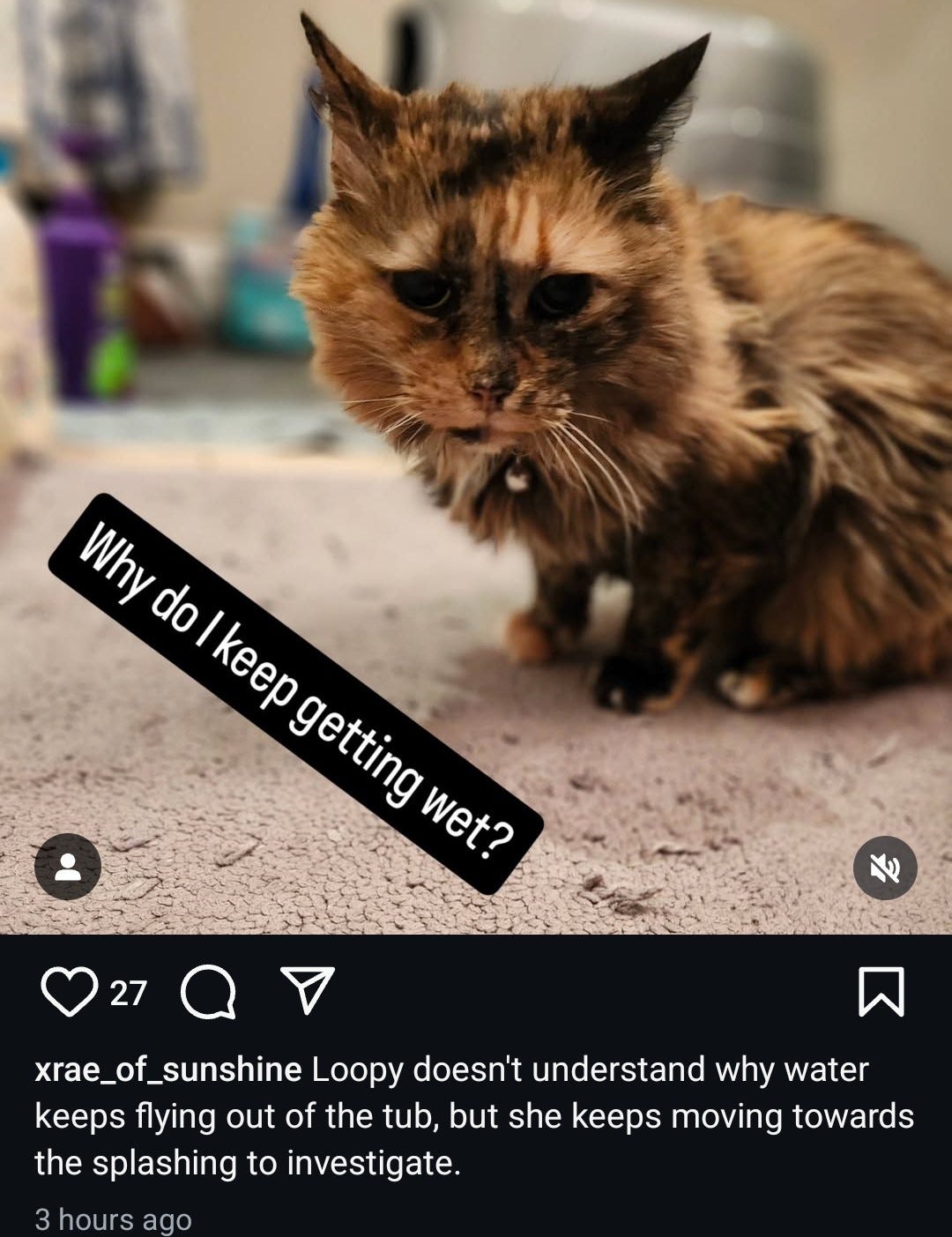 Tuesday ORT: Bond Cinematic Universe, Land-Dweller, Dead Blogs, NYT On ...