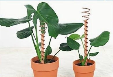 Build The BEST Spiral Antennas! - by Electroculture Growers