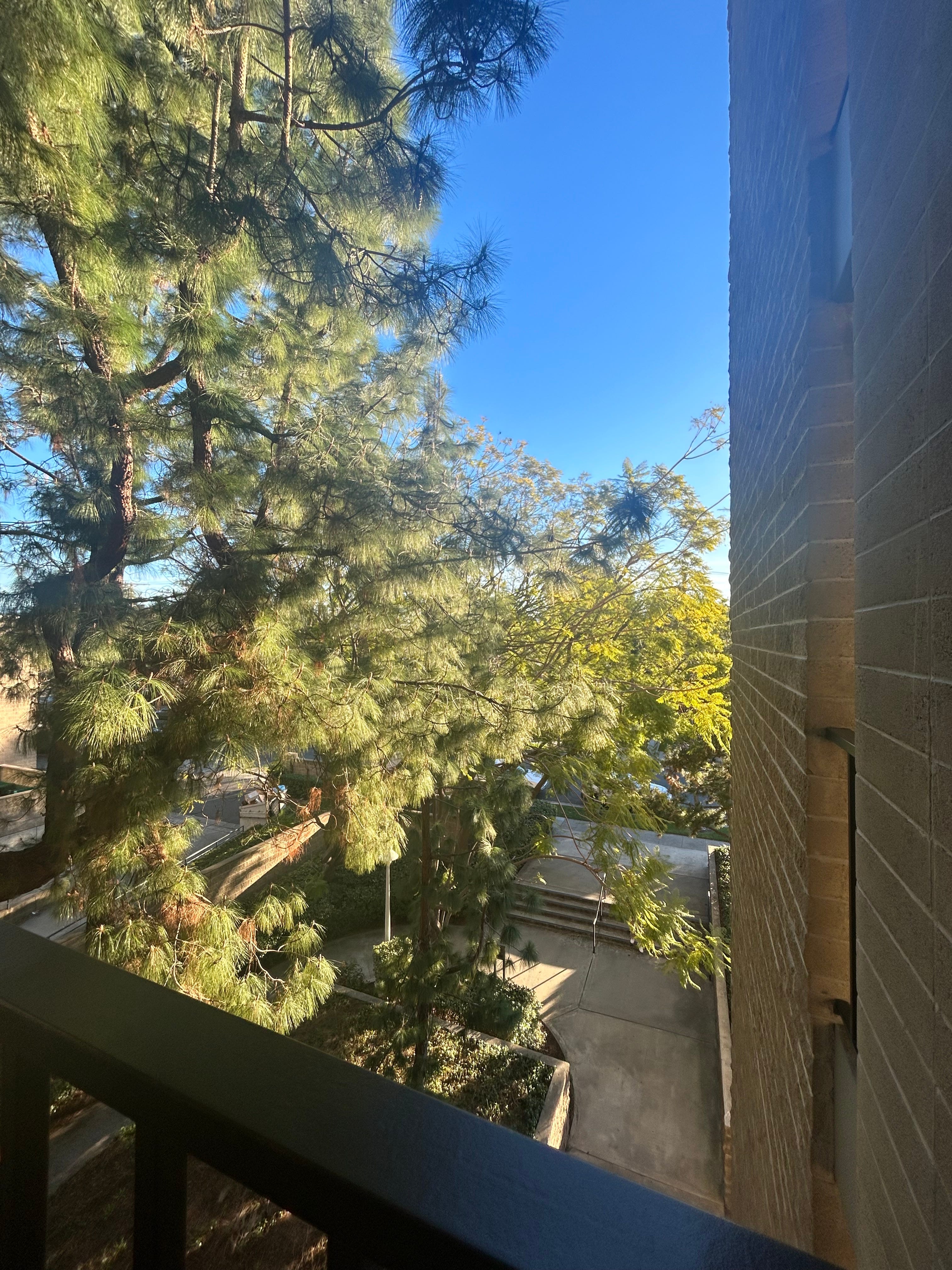 Ability - Laila’s Substack