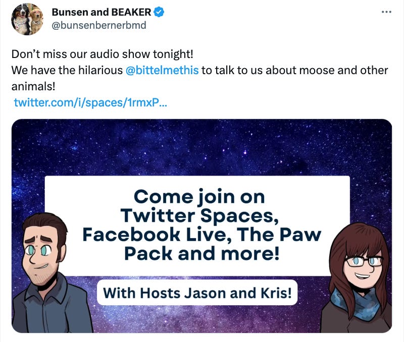 Let's Talk About Moose (Ba-by) - by Jason Bittel