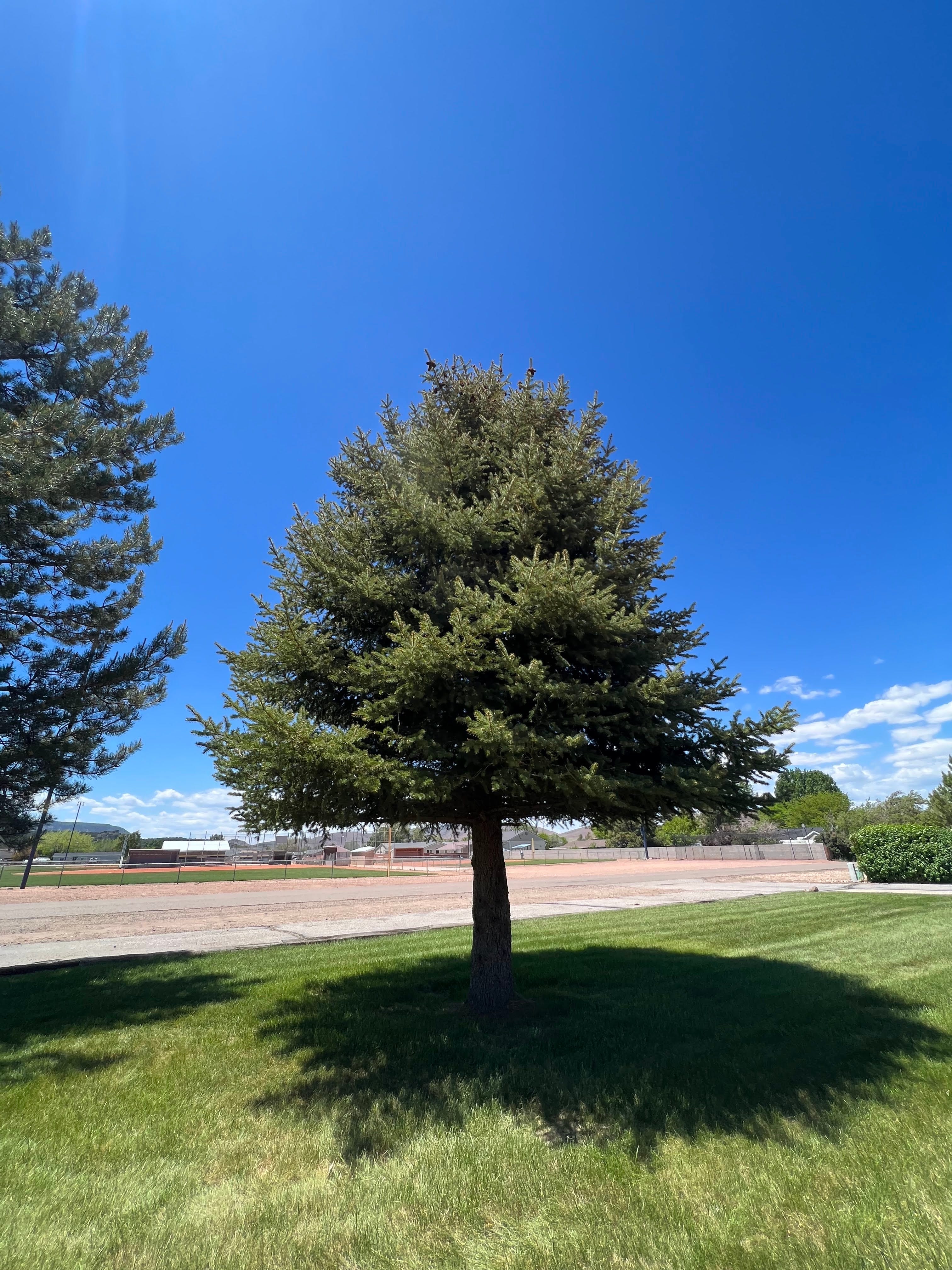 Fair Enough | Substack