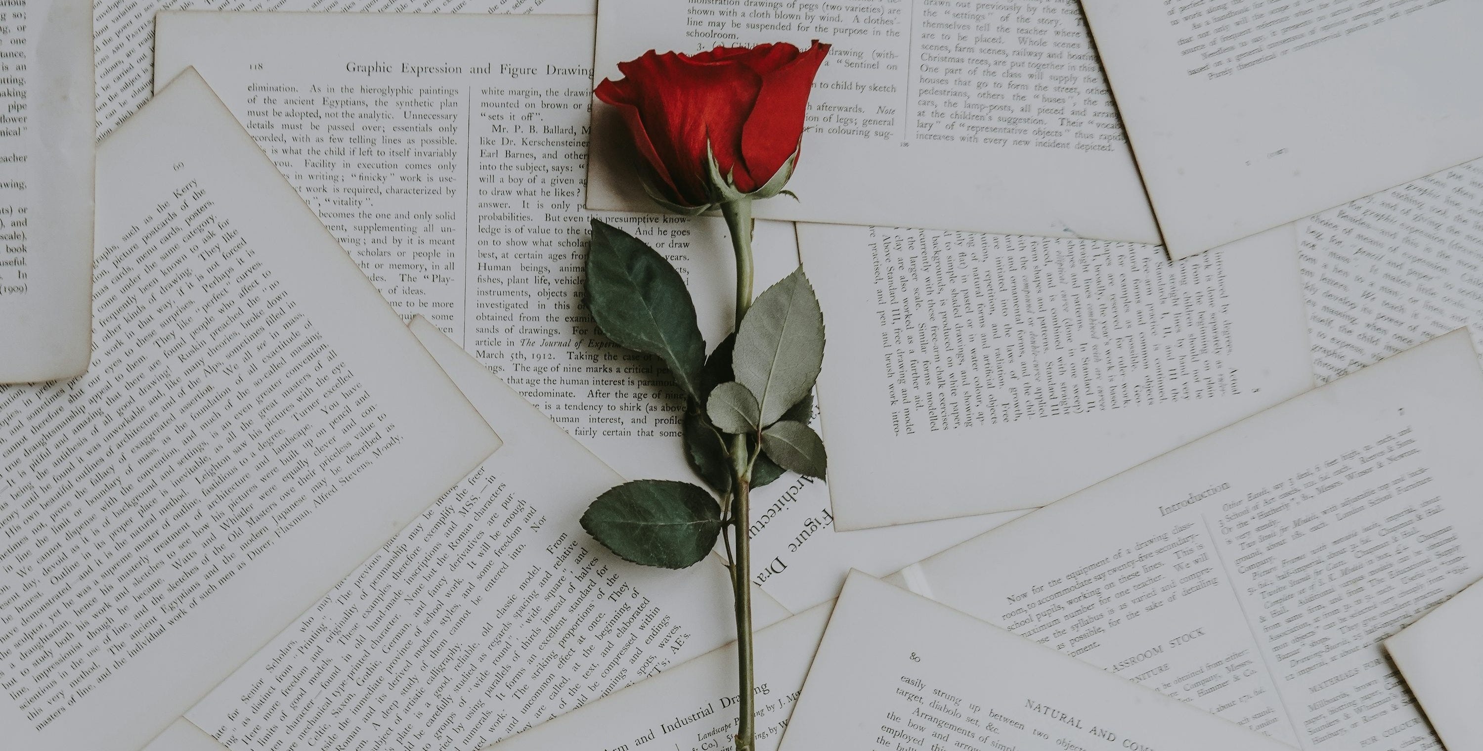 A financial love letter - by Maggie Tucker