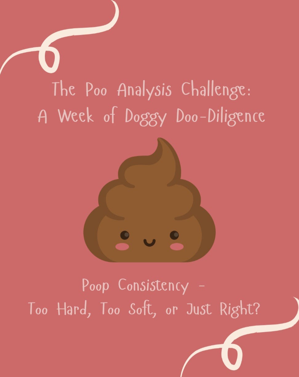Poop Consistency – Too Hard, Too Soft, or Just Right?