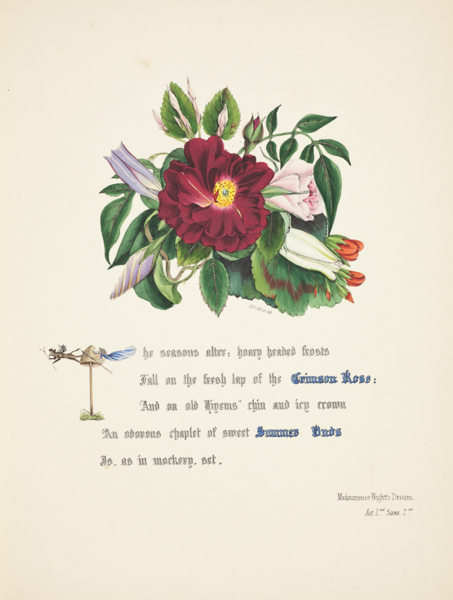 The Shakespeare Garden: Jane Elizabeth Giraud's Posies and Elizabethan ...