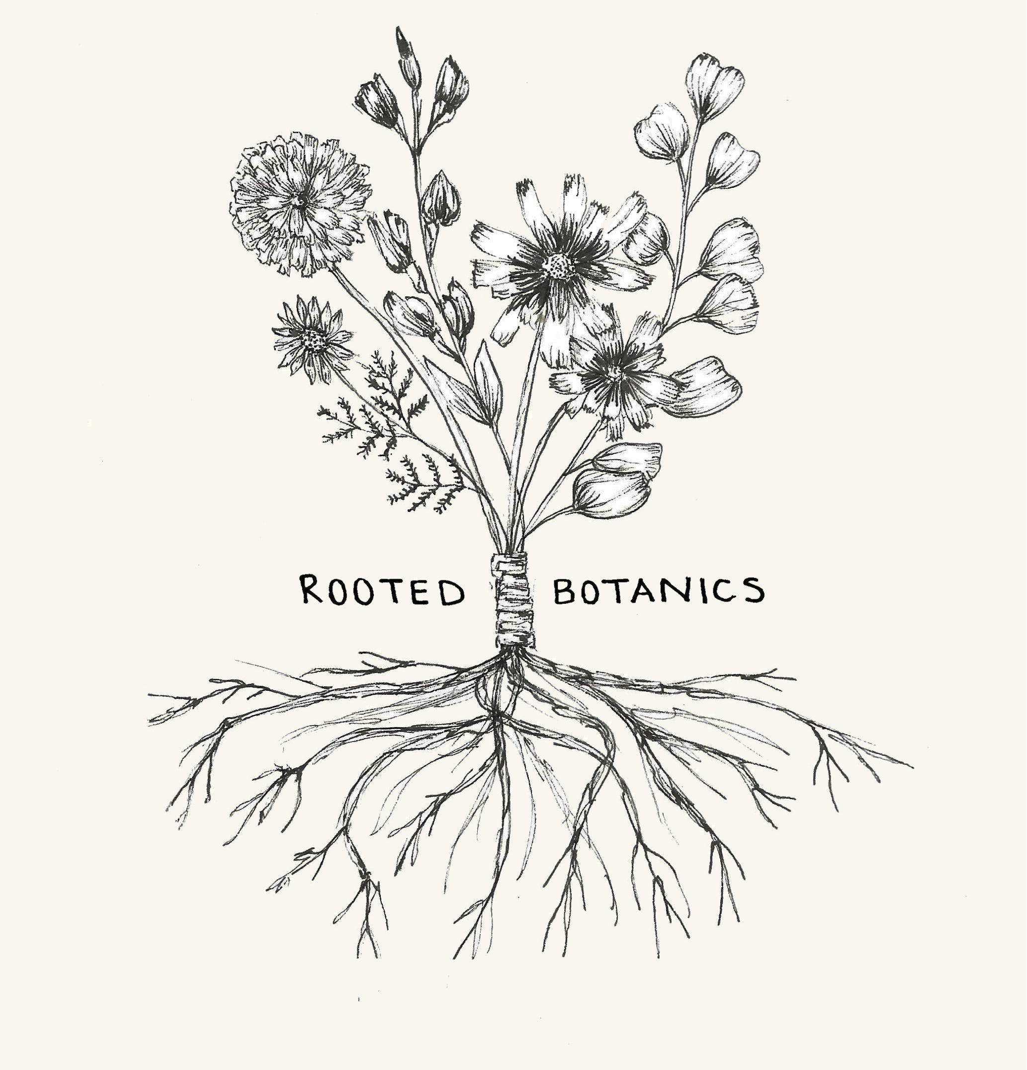 Rooted Botanics | Substack