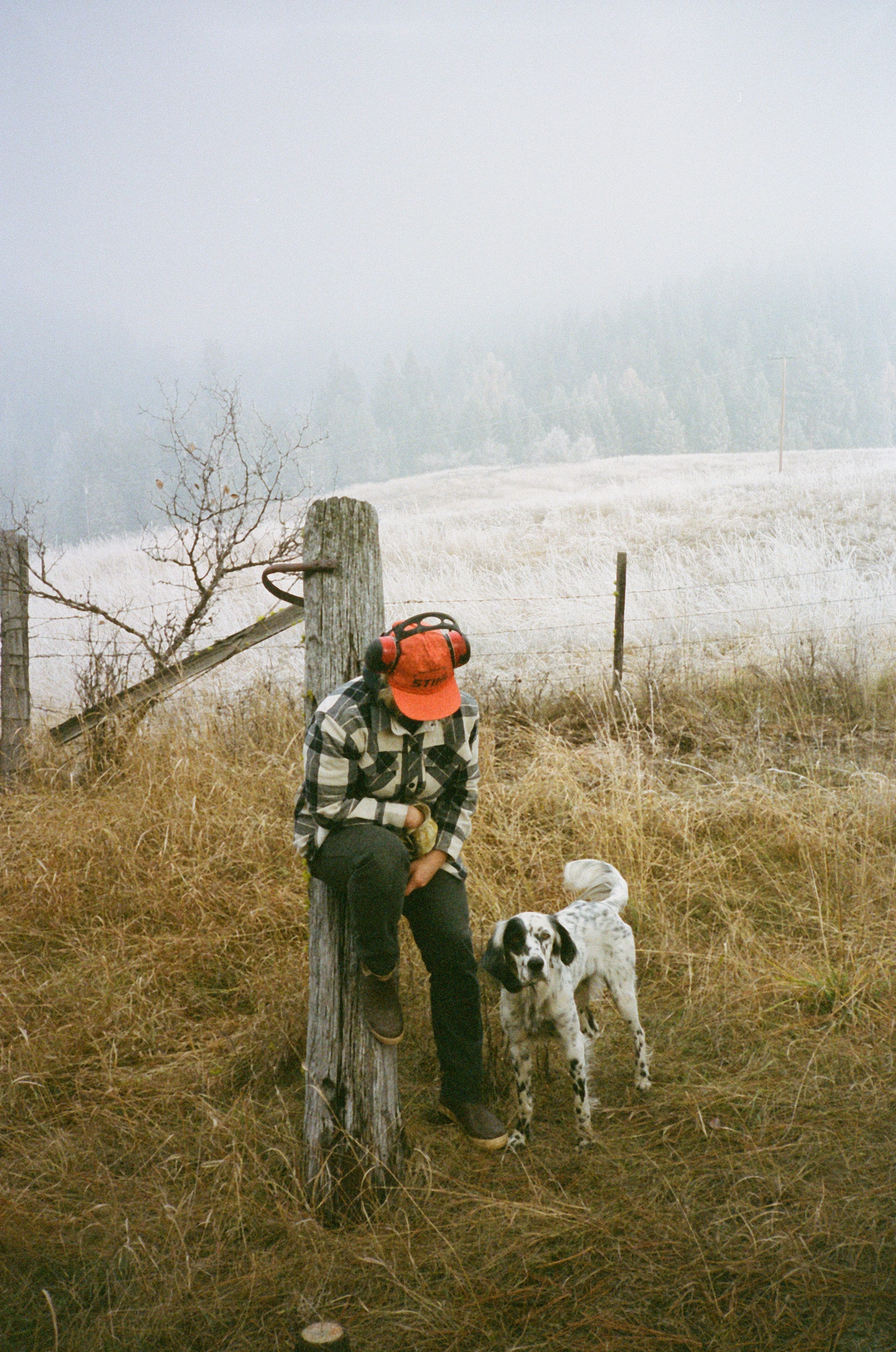 slash piles - by Sadie Ajax - Caffeine & Gasoline