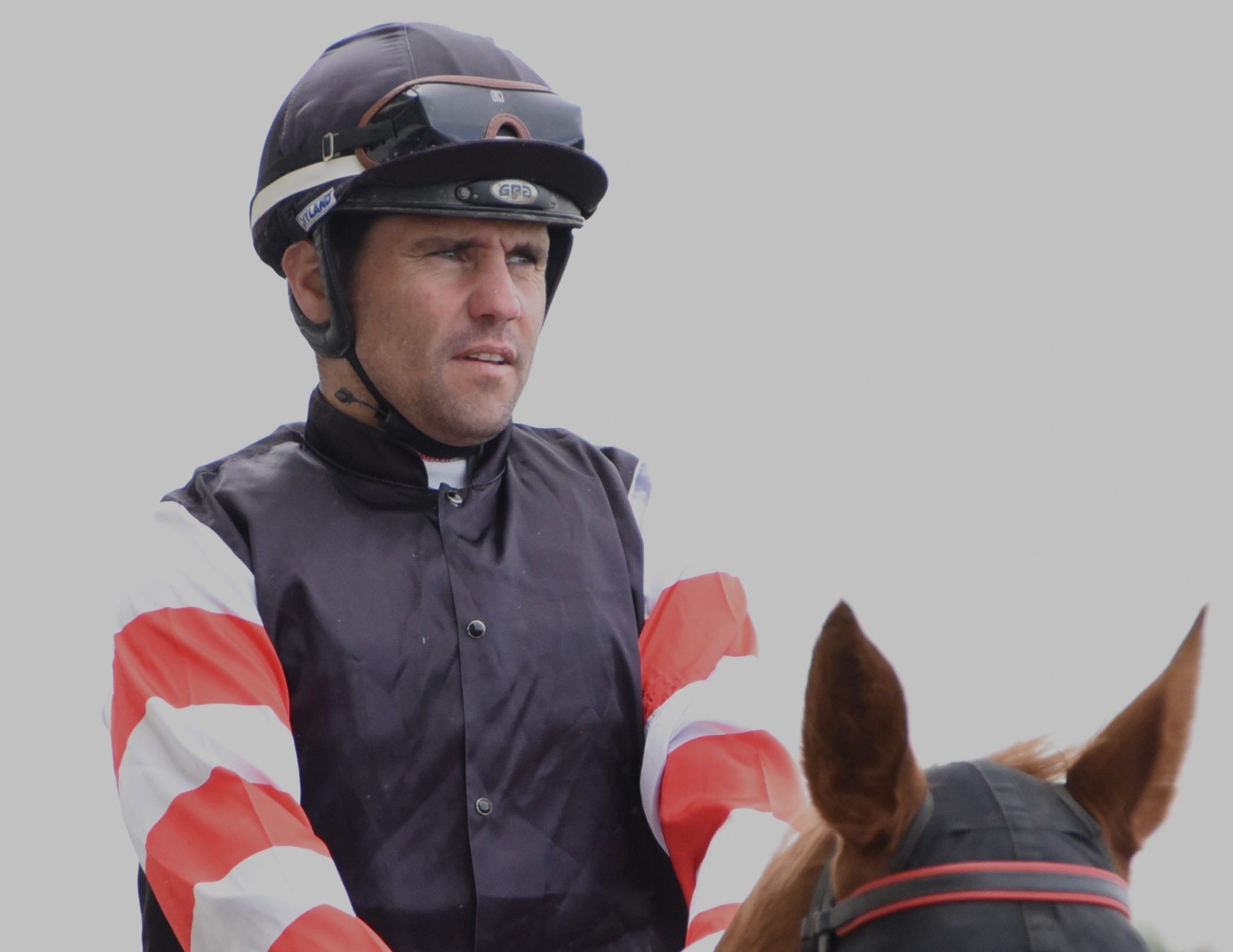 Albazinga winning chance at New Year's Day races