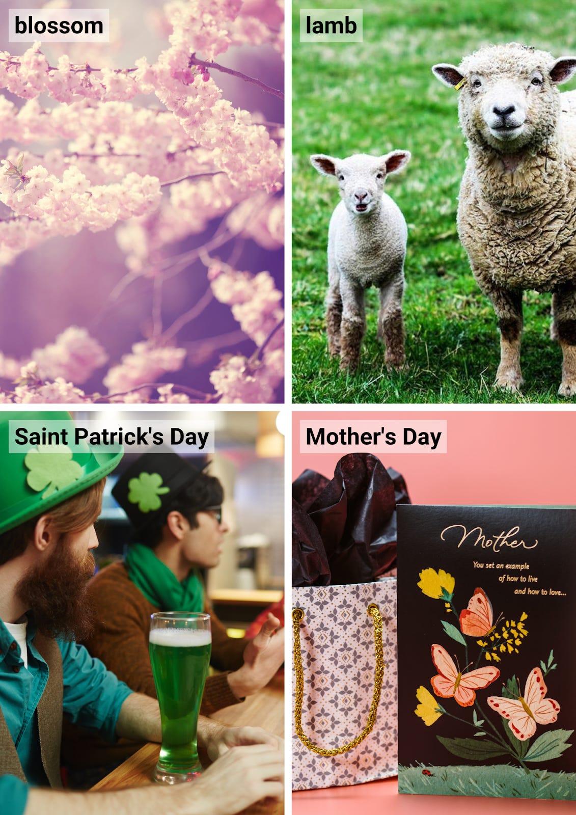 March in England - Learn English with Katie