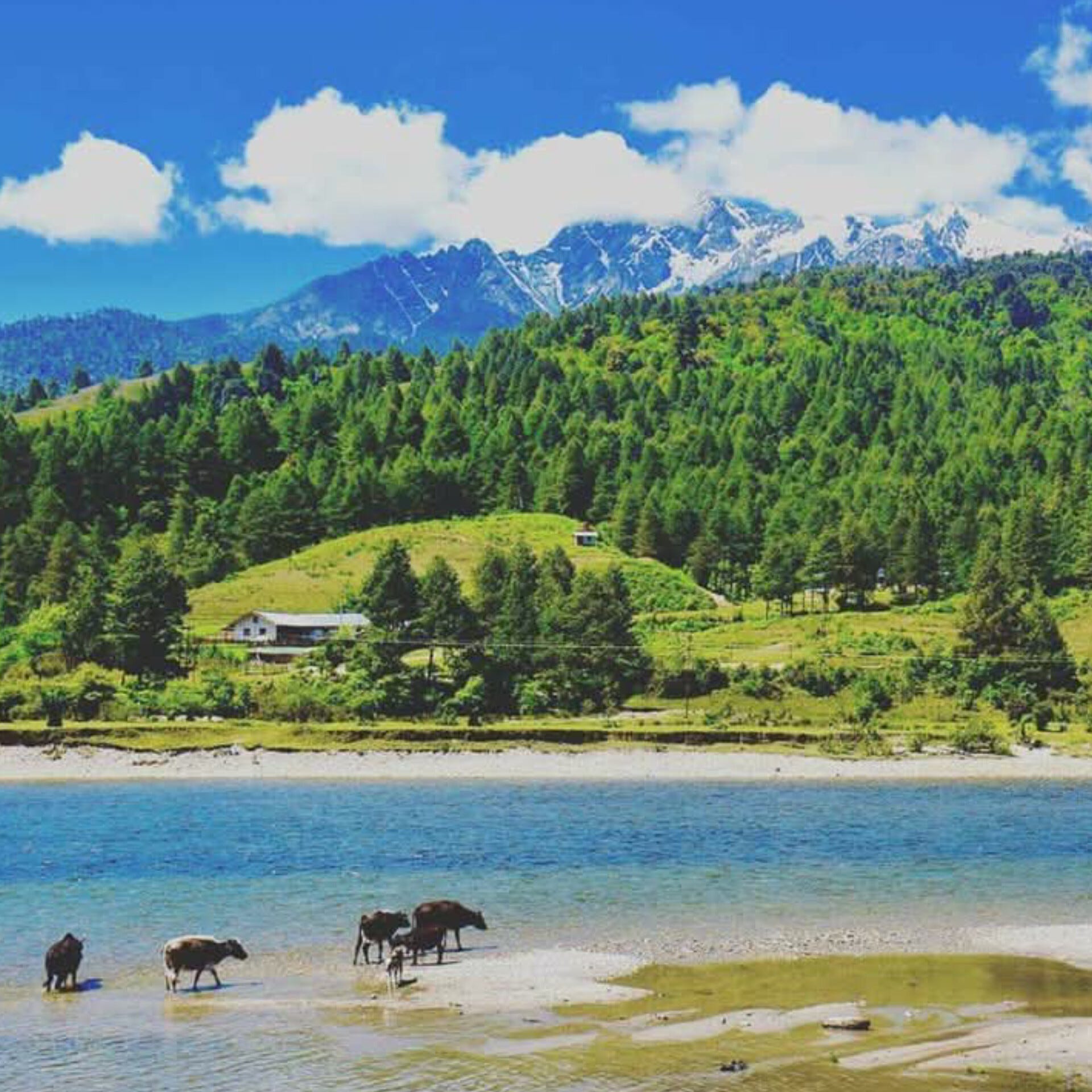 Mechukha, A Treasure Trove of Natural Beauty and Spiritual Significance