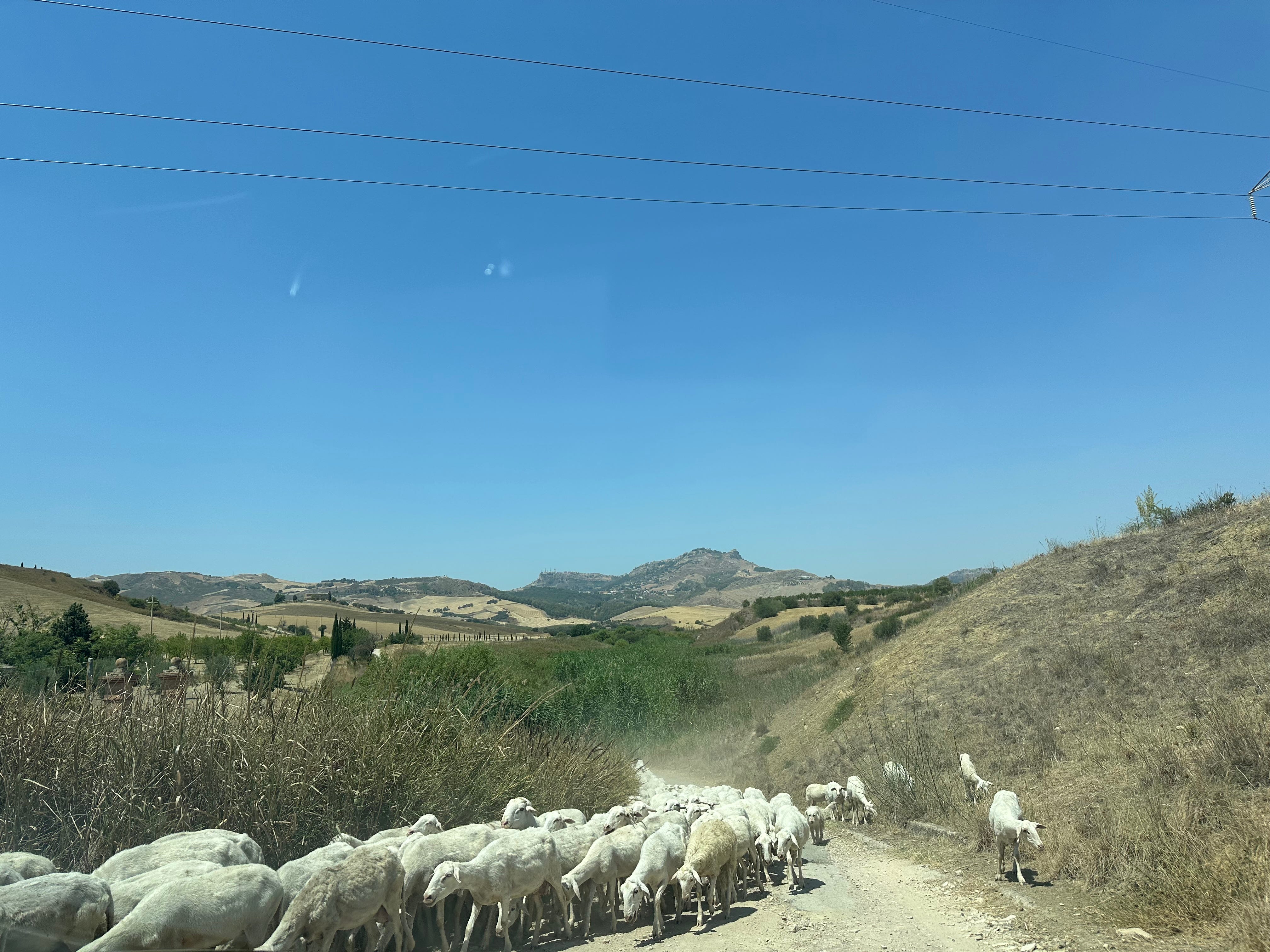 Is Google Maps trustworthy? - by Callum Booth