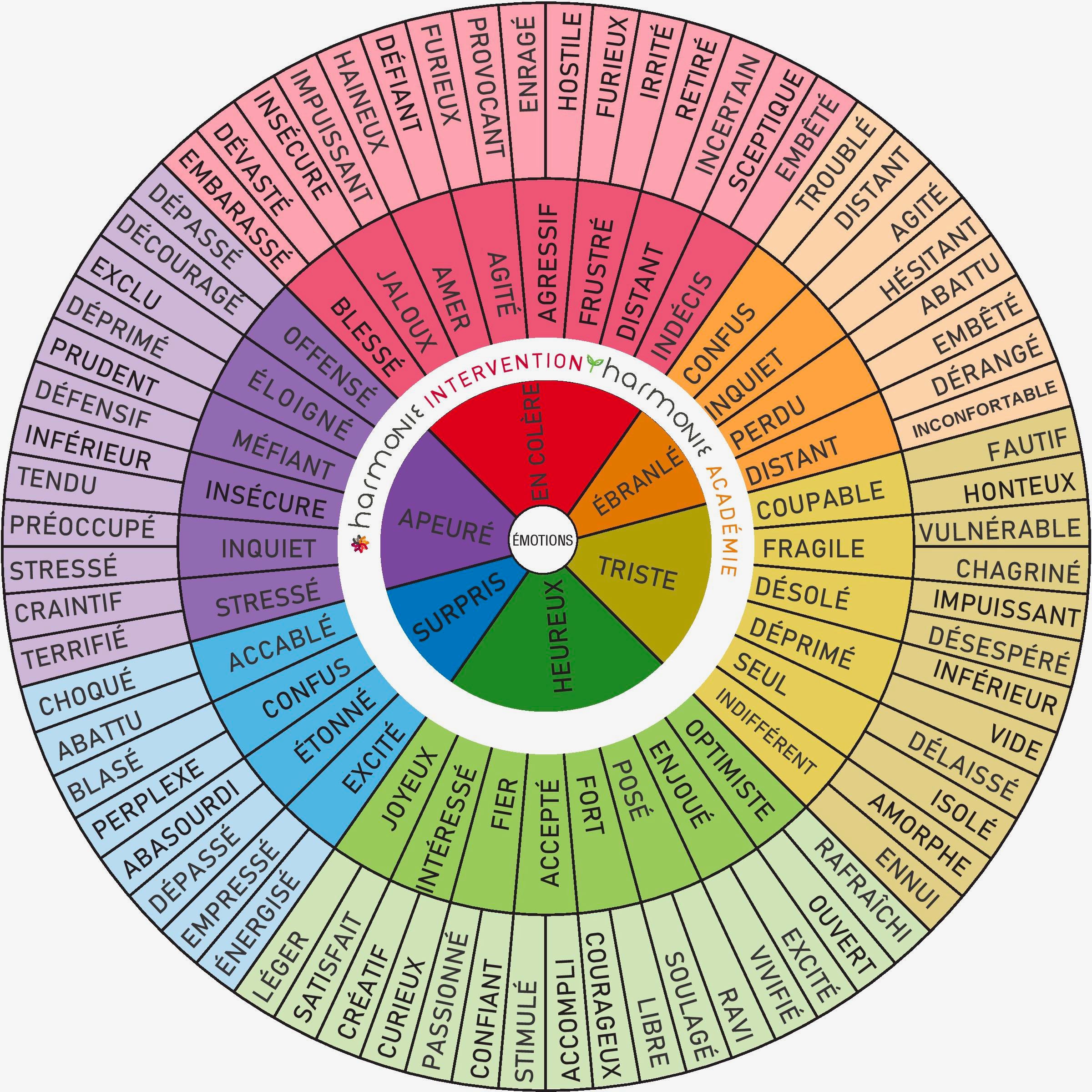 La roue des émotions - by Nicolas Galita - L'Atelier Galita