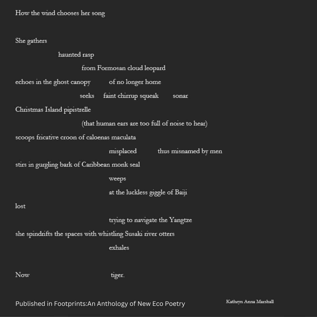 How the wind chooses her song - by Kathryn Anna Marshall