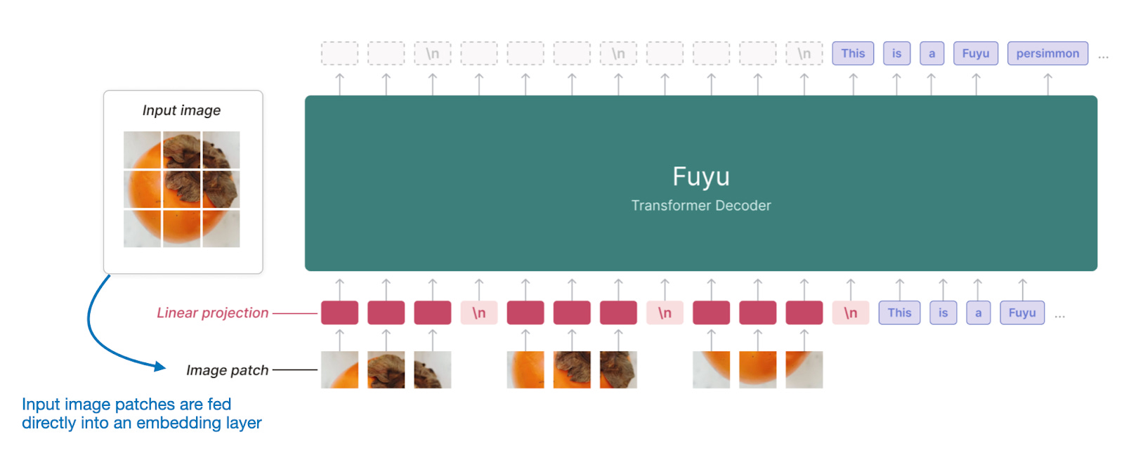Understanding Multimodal LLMs - by Sebastian Raschka, PhD