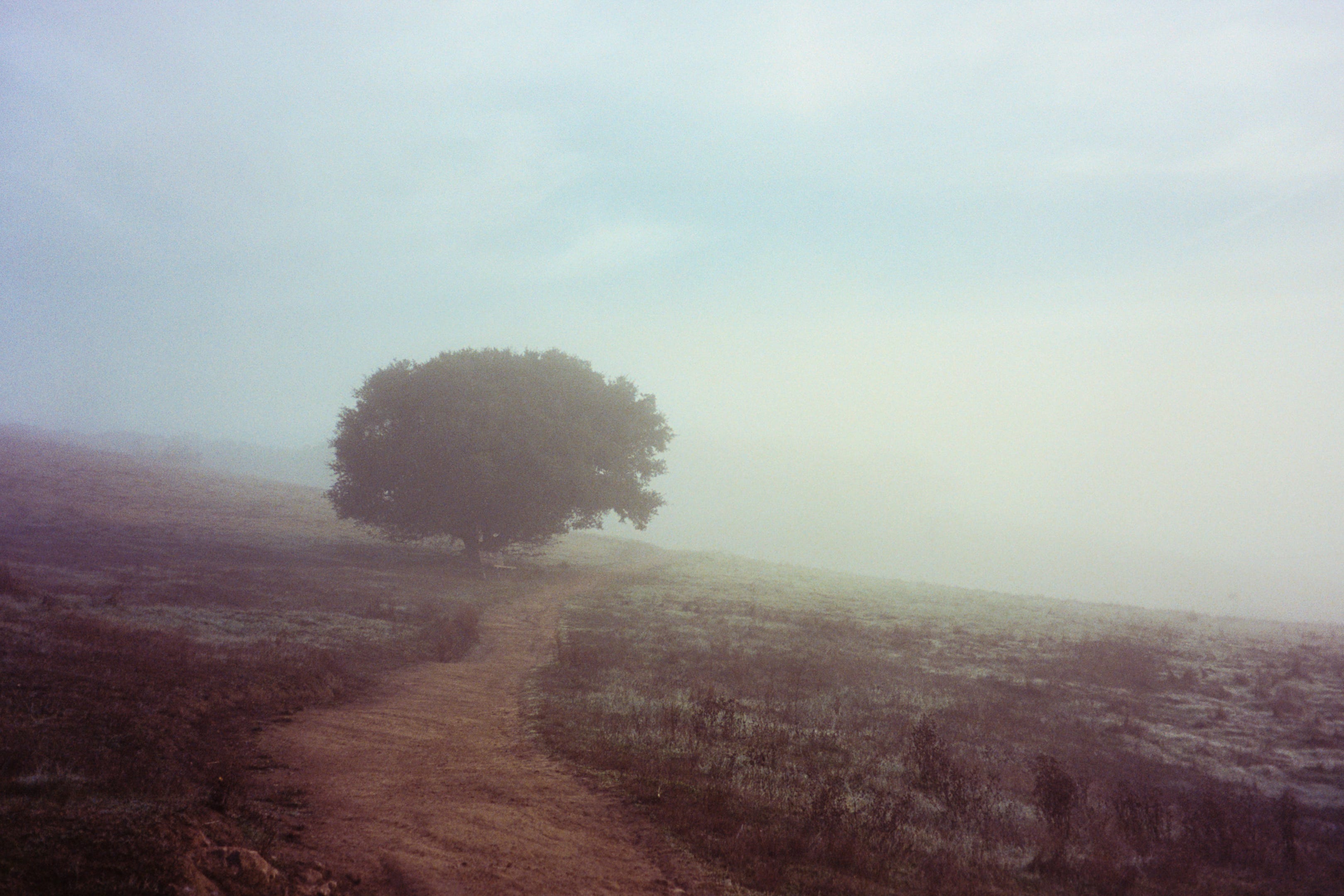 Beyond what I know - Human Stuff