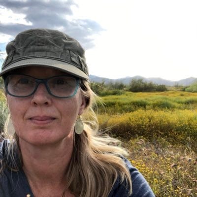 Sheila Dougal | Substack