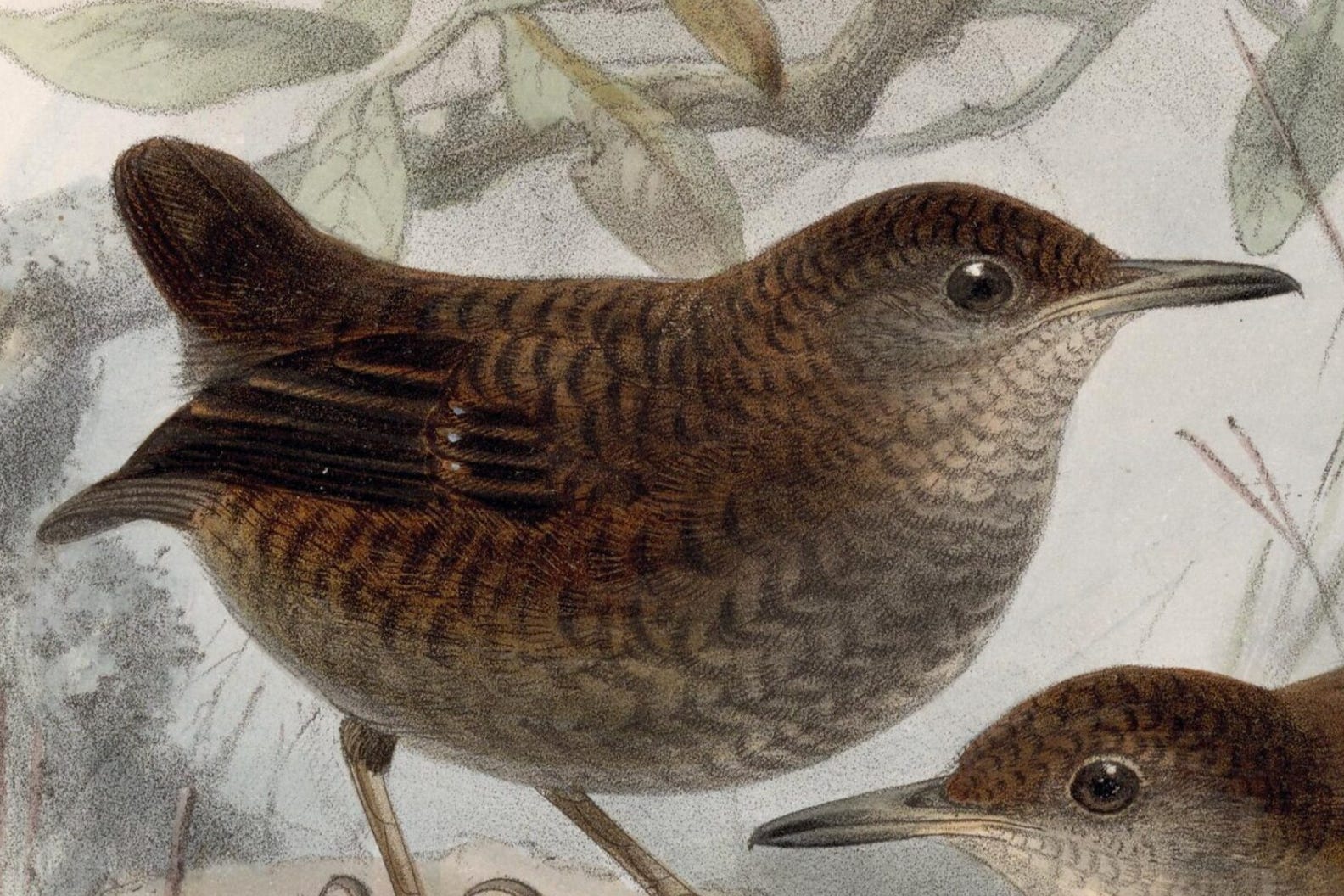 T.S. Eliot’s The Waste Land - Part 2 - by Liza Libes