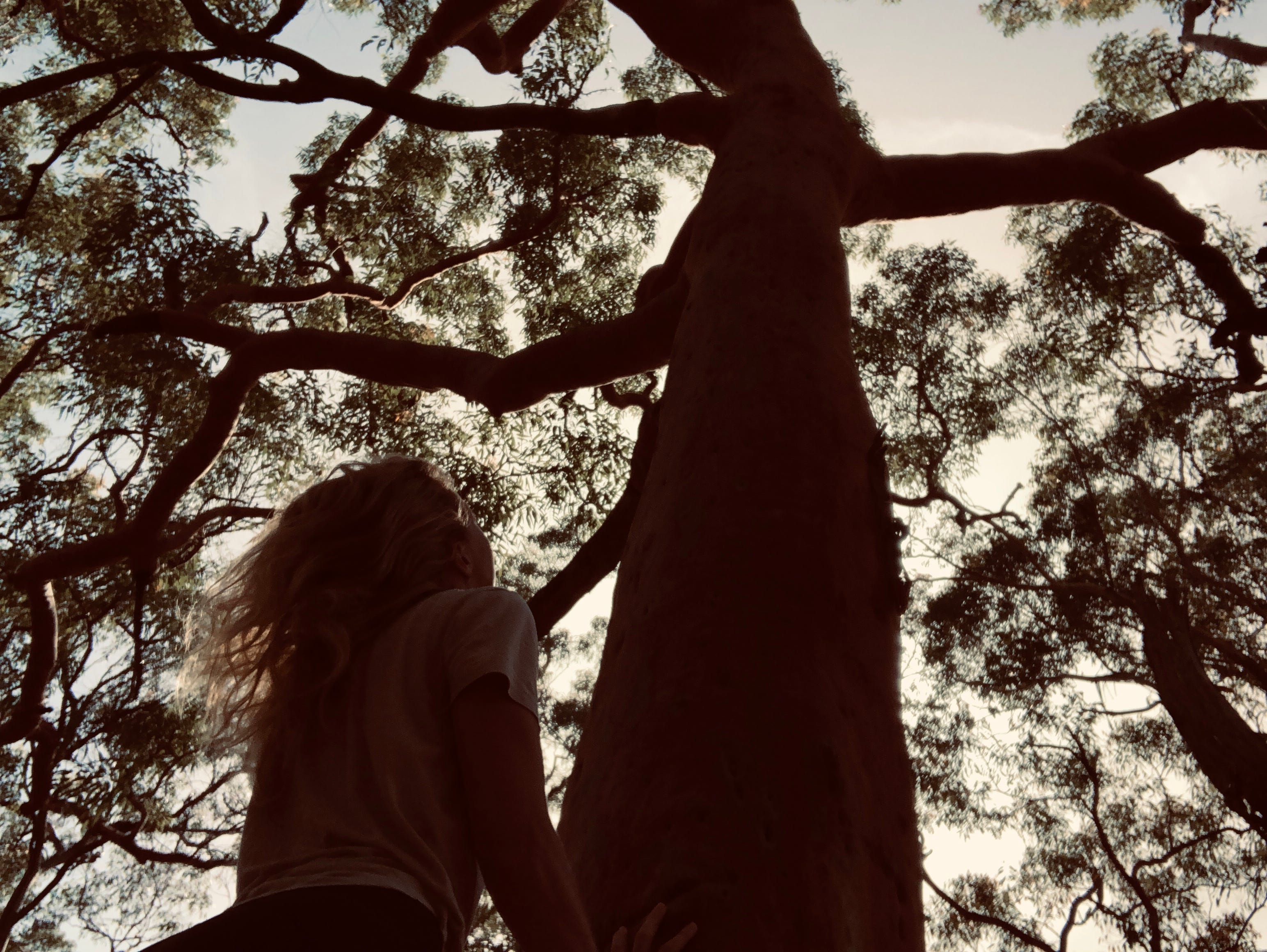 On the sky within you - Sez Kristiansen