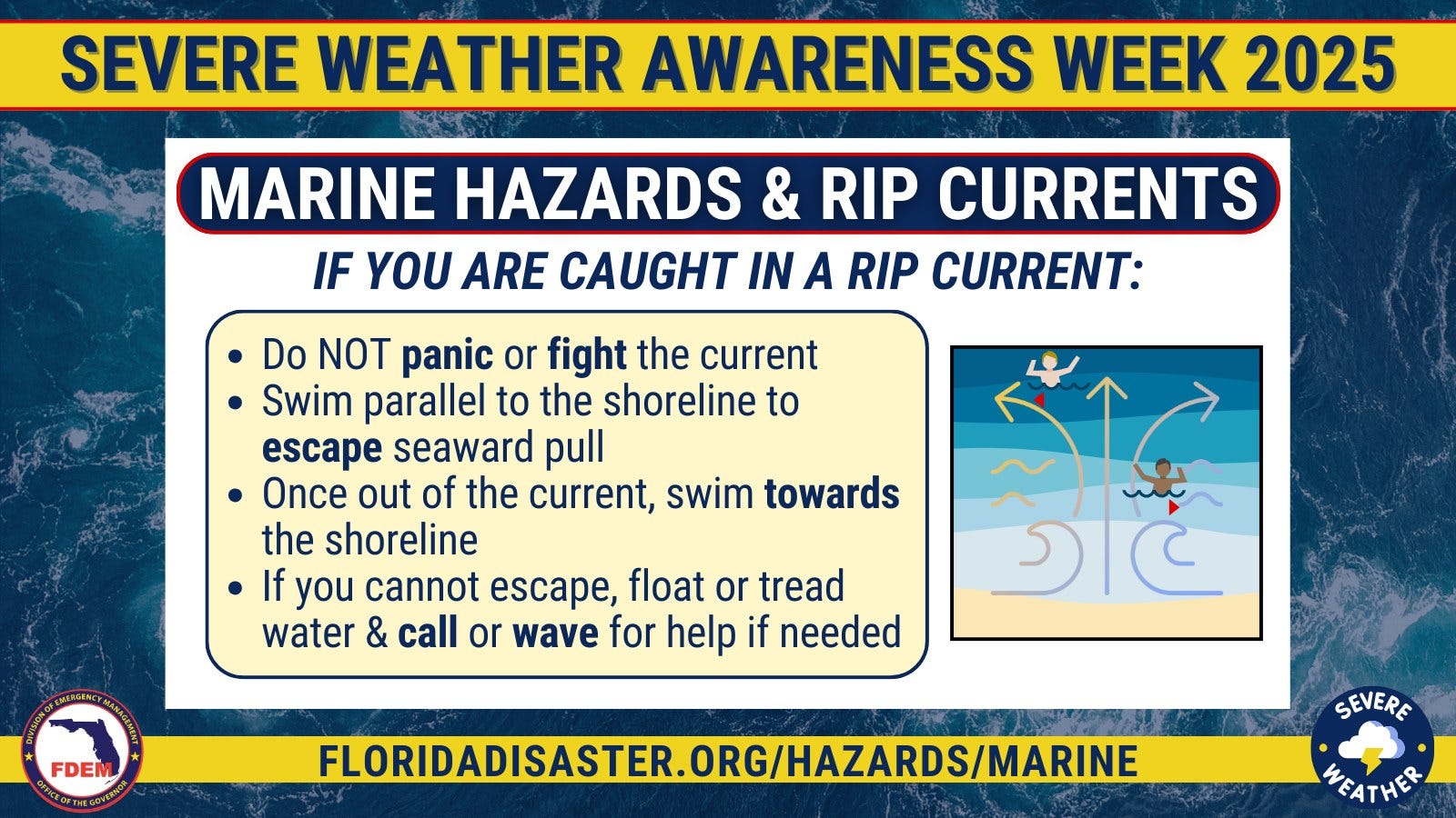 Florida Leads Nation in Rip Current Drownings: How to Stay Safe This ...
