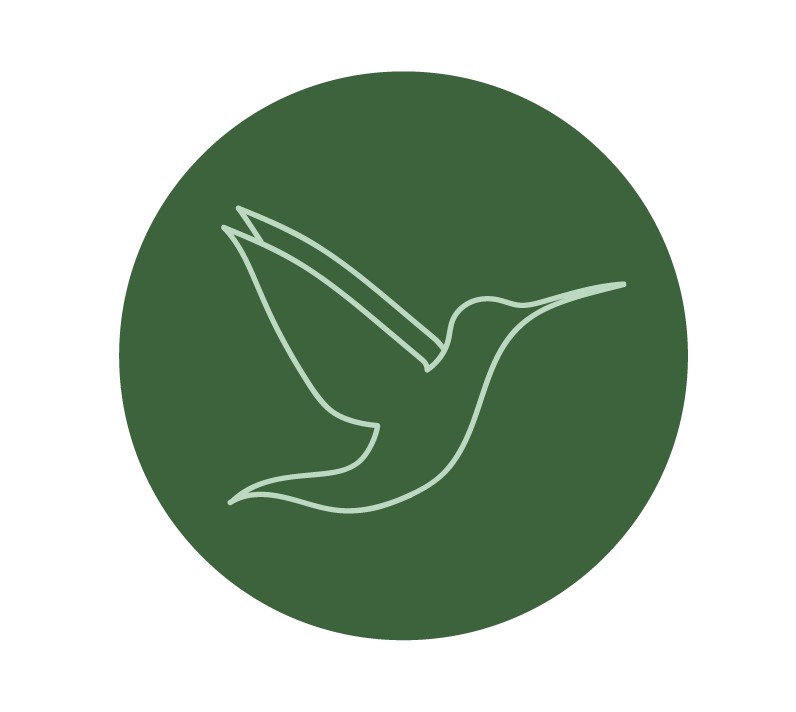 Hummingbird Project | Substack