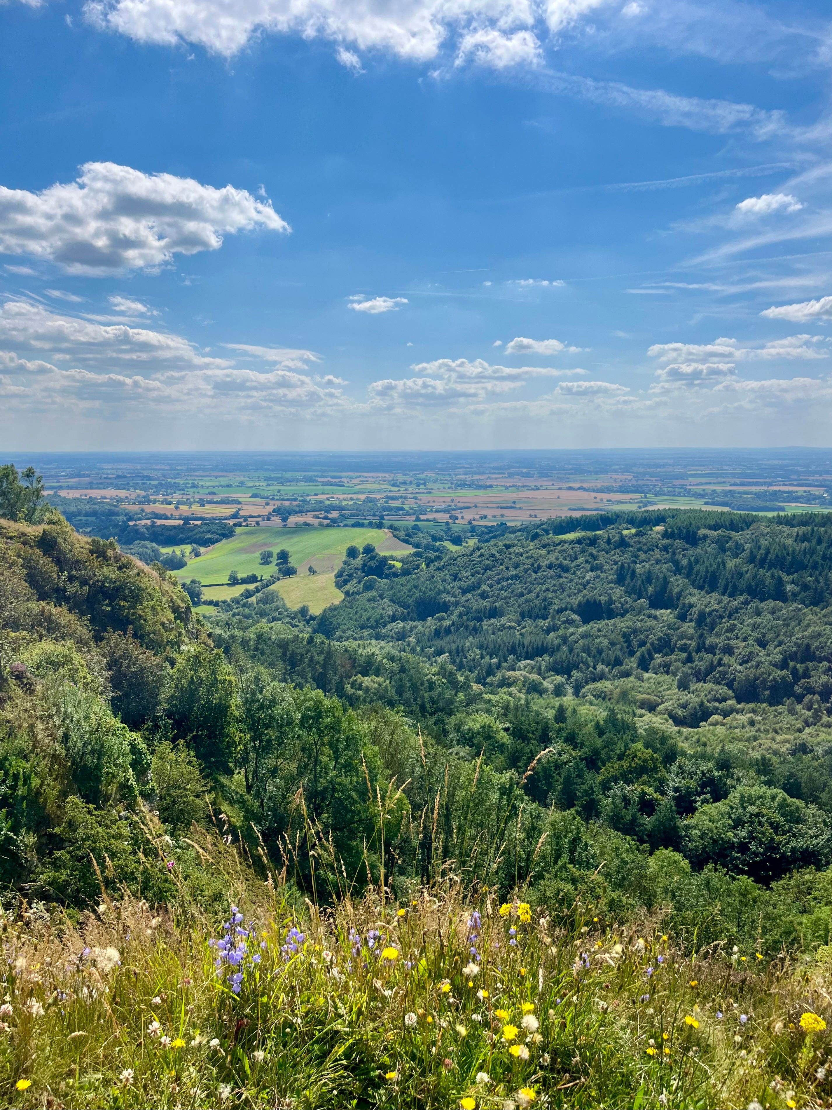Composer Emma Kent Wine - by Chris Becker - Night and Day