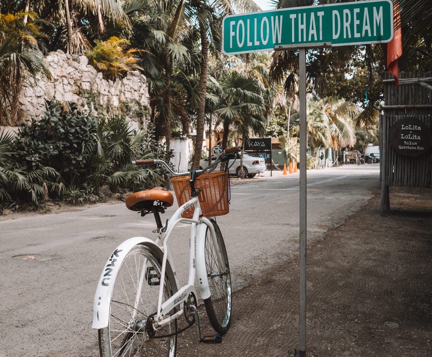 Manifesting is Bullshit - by Robin Wilding - Wilding Out