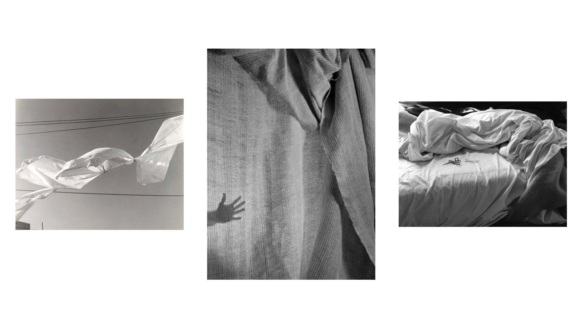 Imogen Cunningham - by Susanne Helmert - My Morning Muse