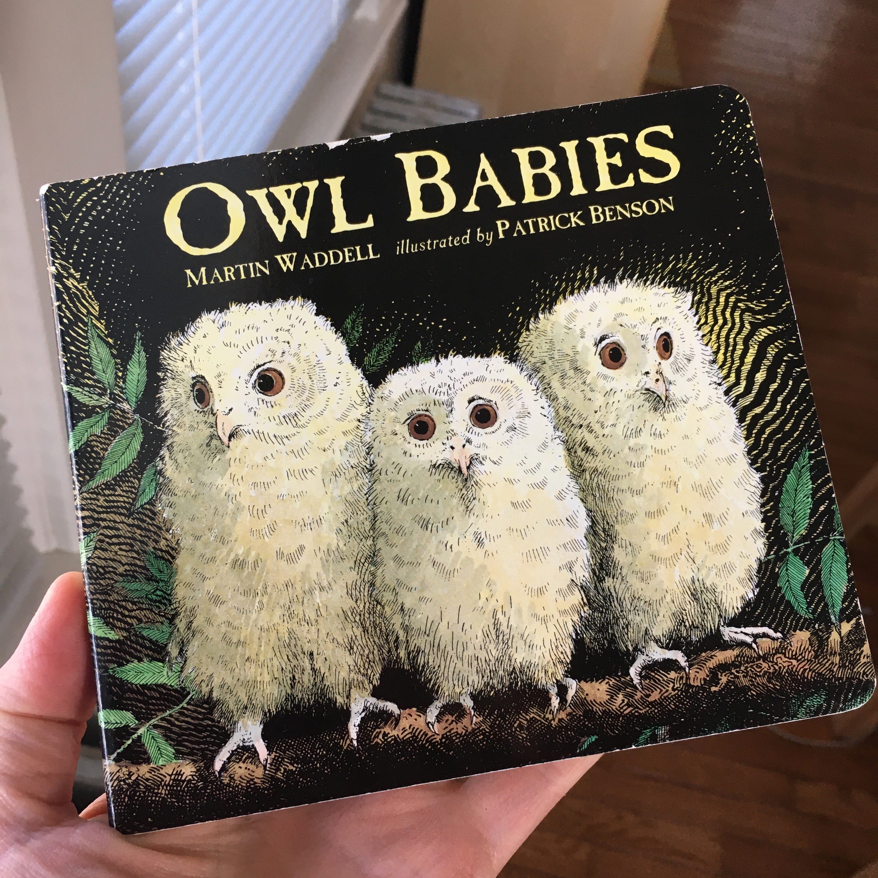 Owl Babies - by Sarah Laucks