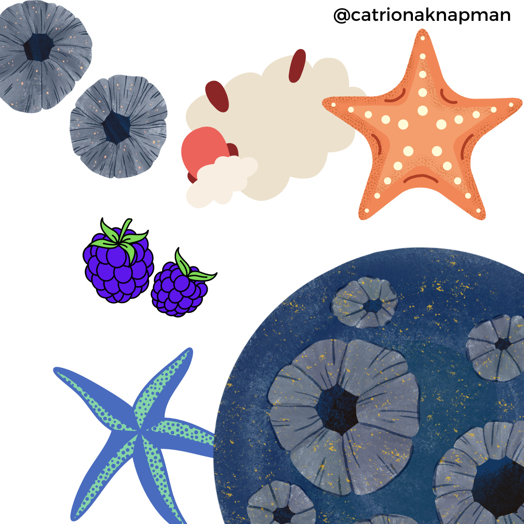 August Inspiration Adventure - by Catriona Knapman