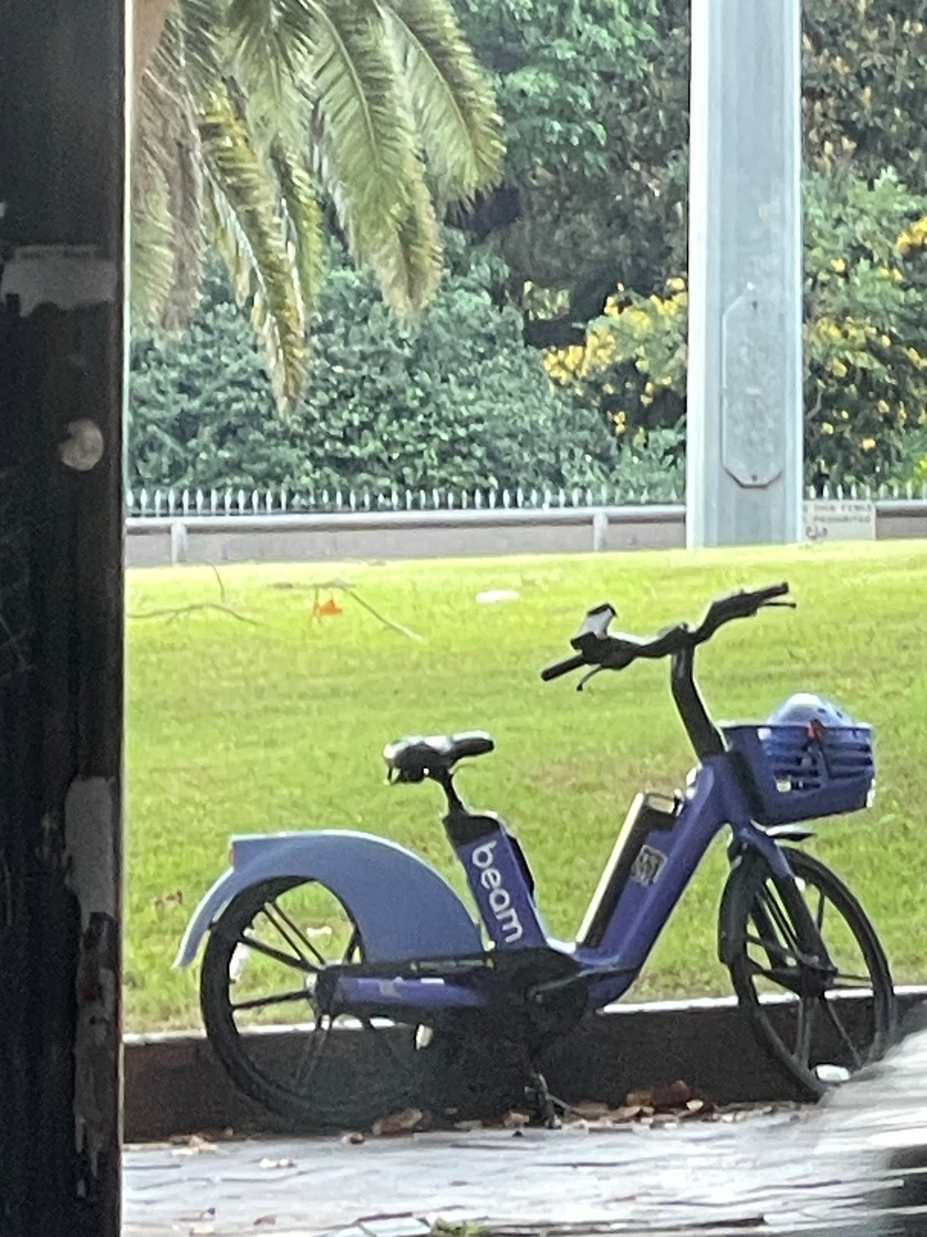 Bike - by Bev Levine - Bev’s Substack