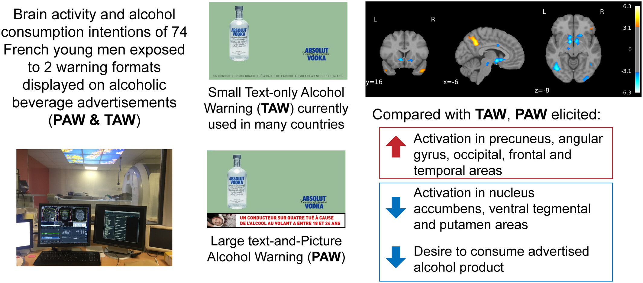 Alcohol Alert - August 2024