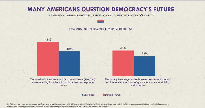 Election 2024: A Most Disturbing Slide Deck - by VBL
