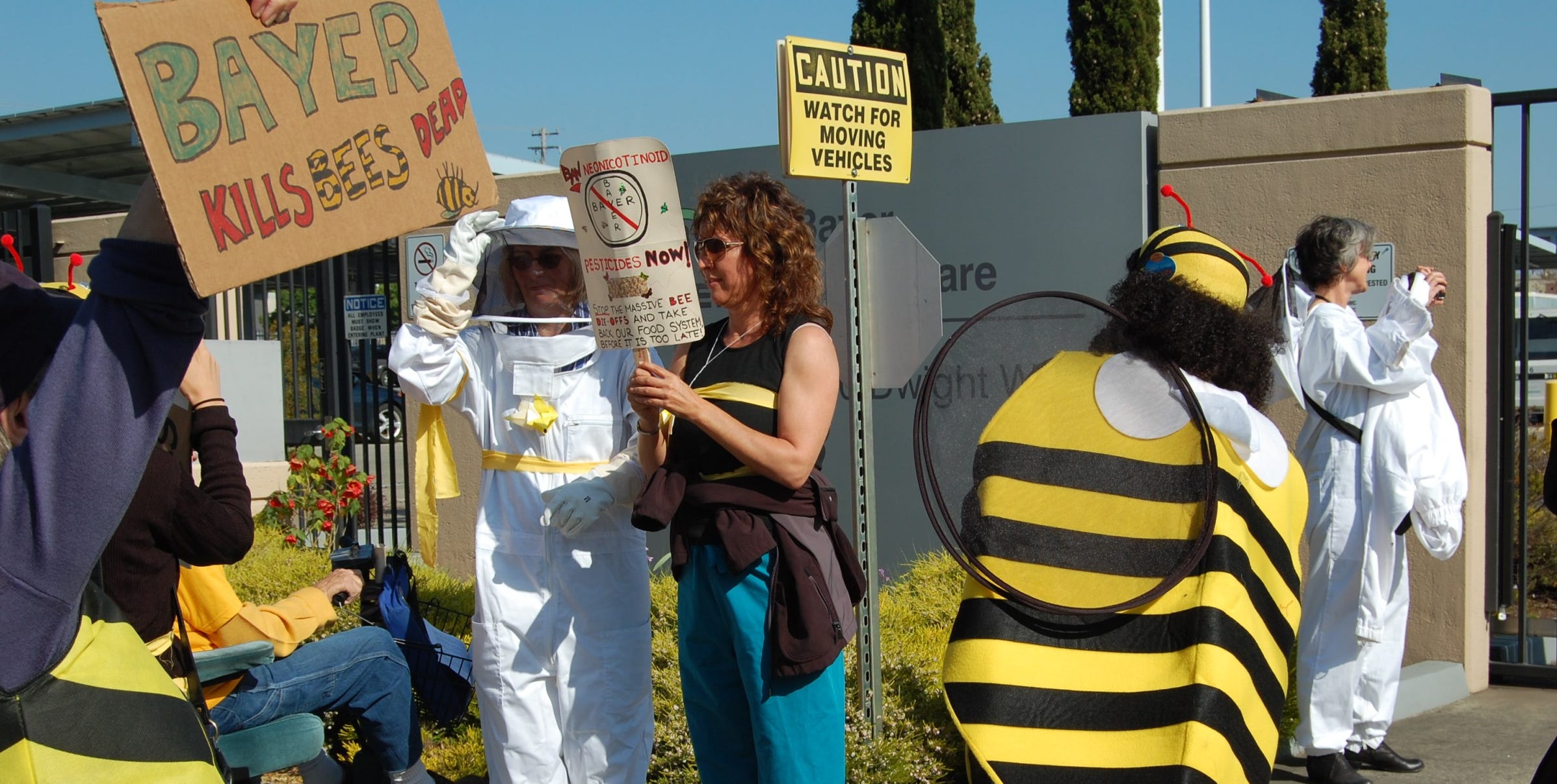 Why are bees dying? Because of Bayer’s business model.