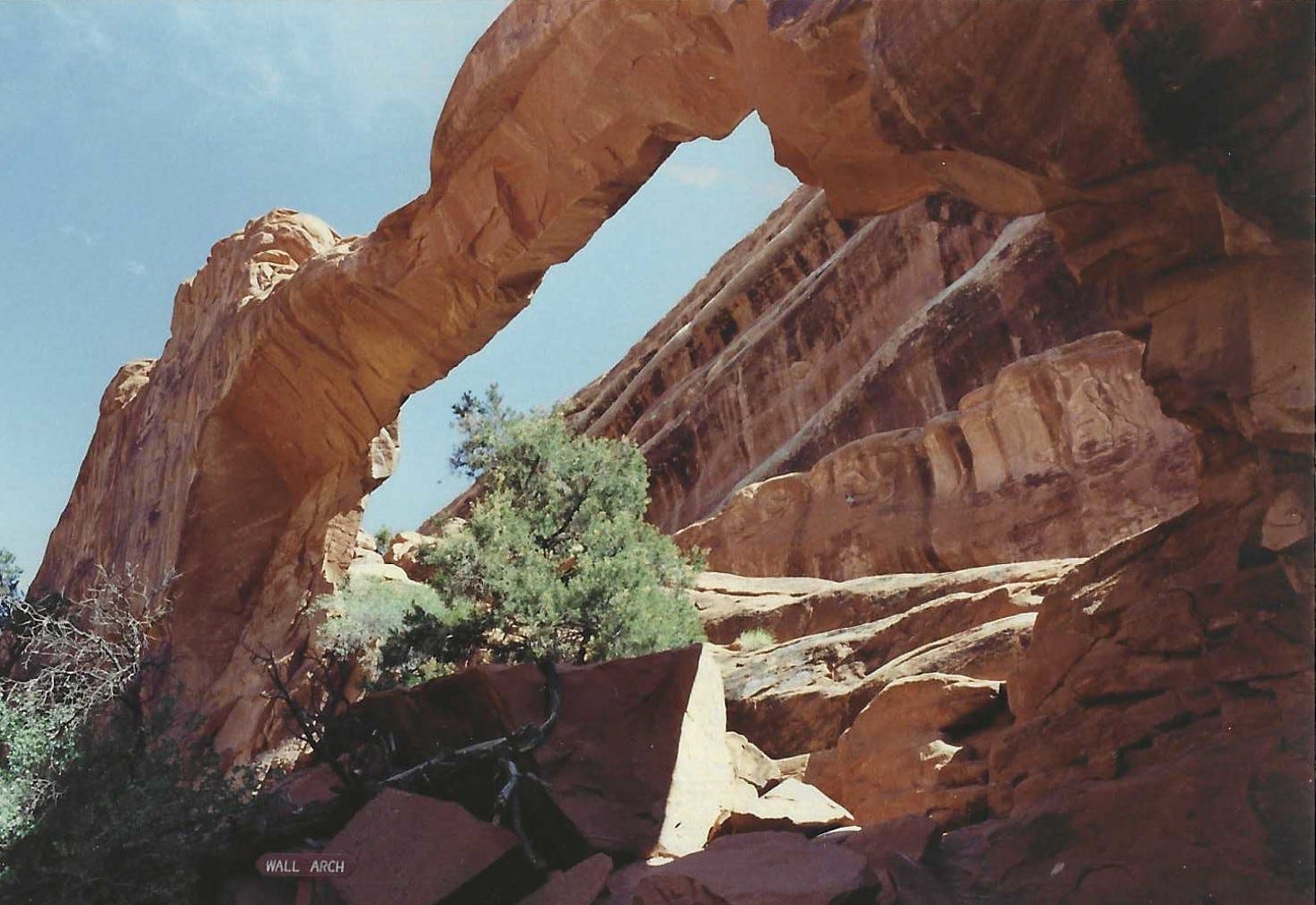 Fallen Arches - by Jan Spell