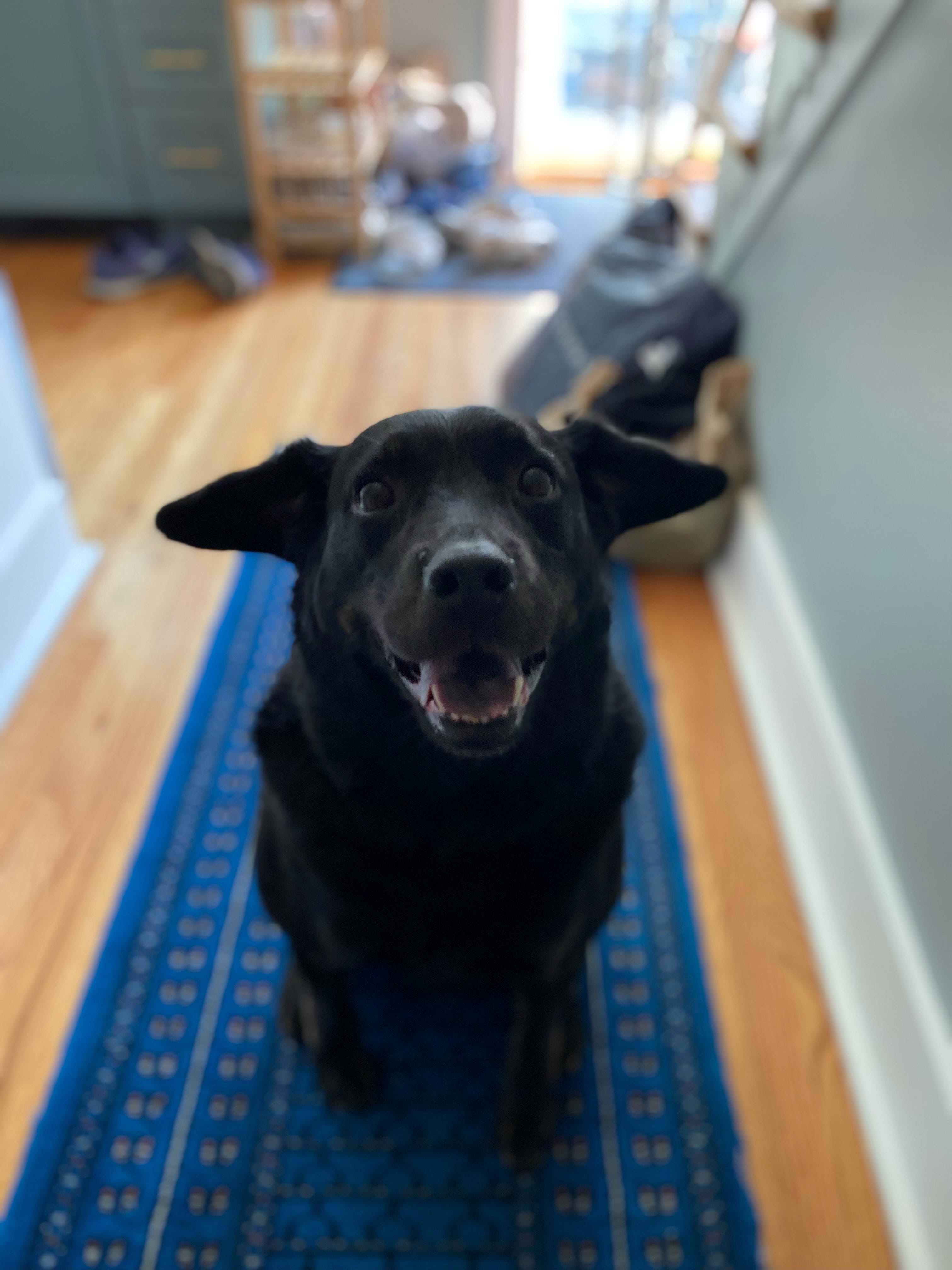 Room 306 - by Christopher Dake - Okay History