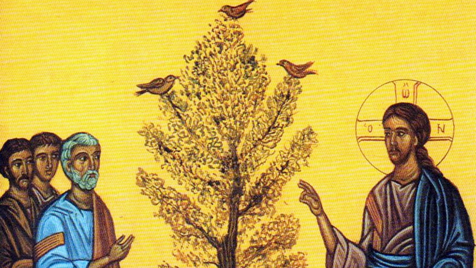 The Church and the parable of the mustard seed