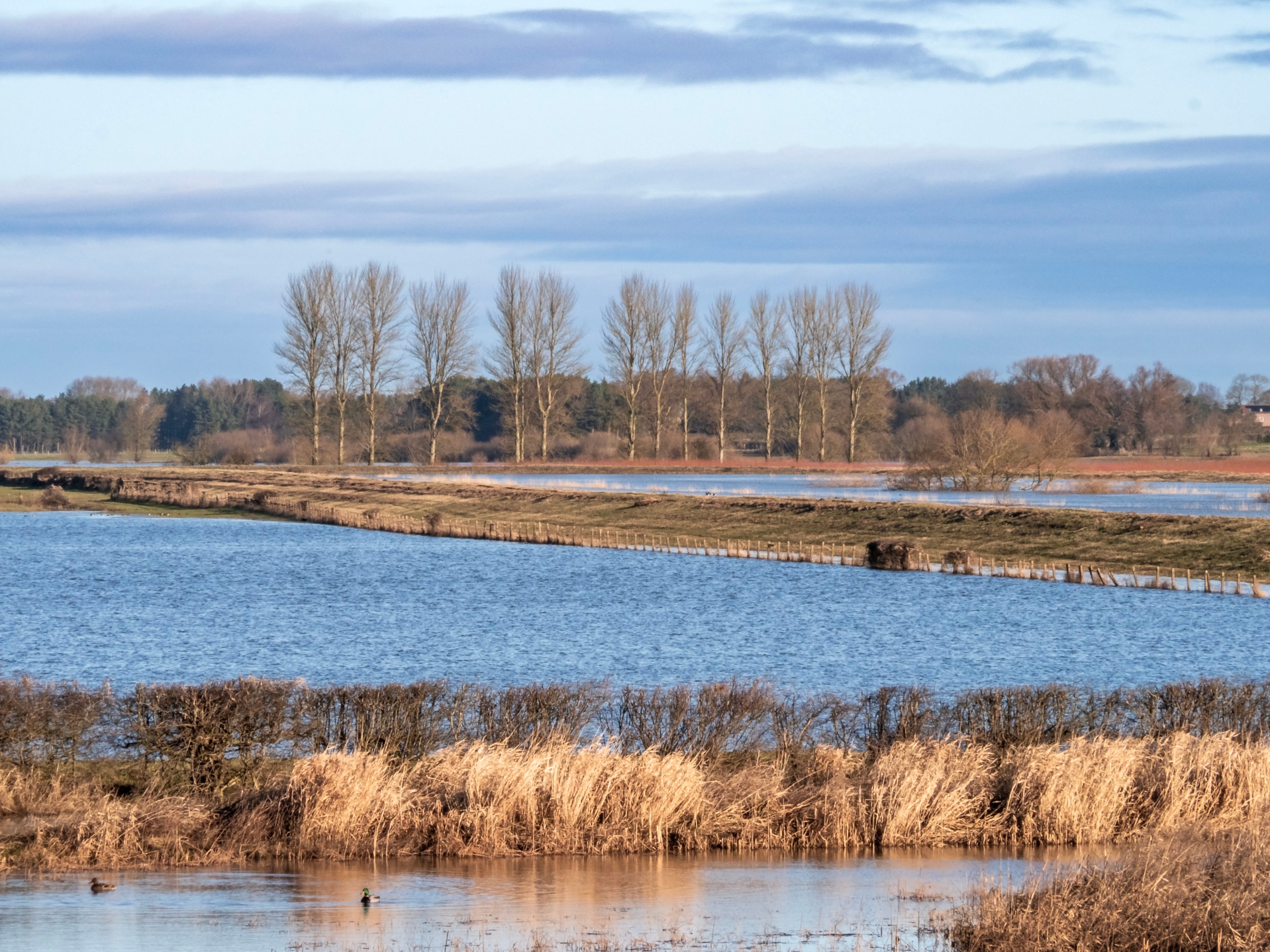 North Duffield Carrs - by Angie Dawn