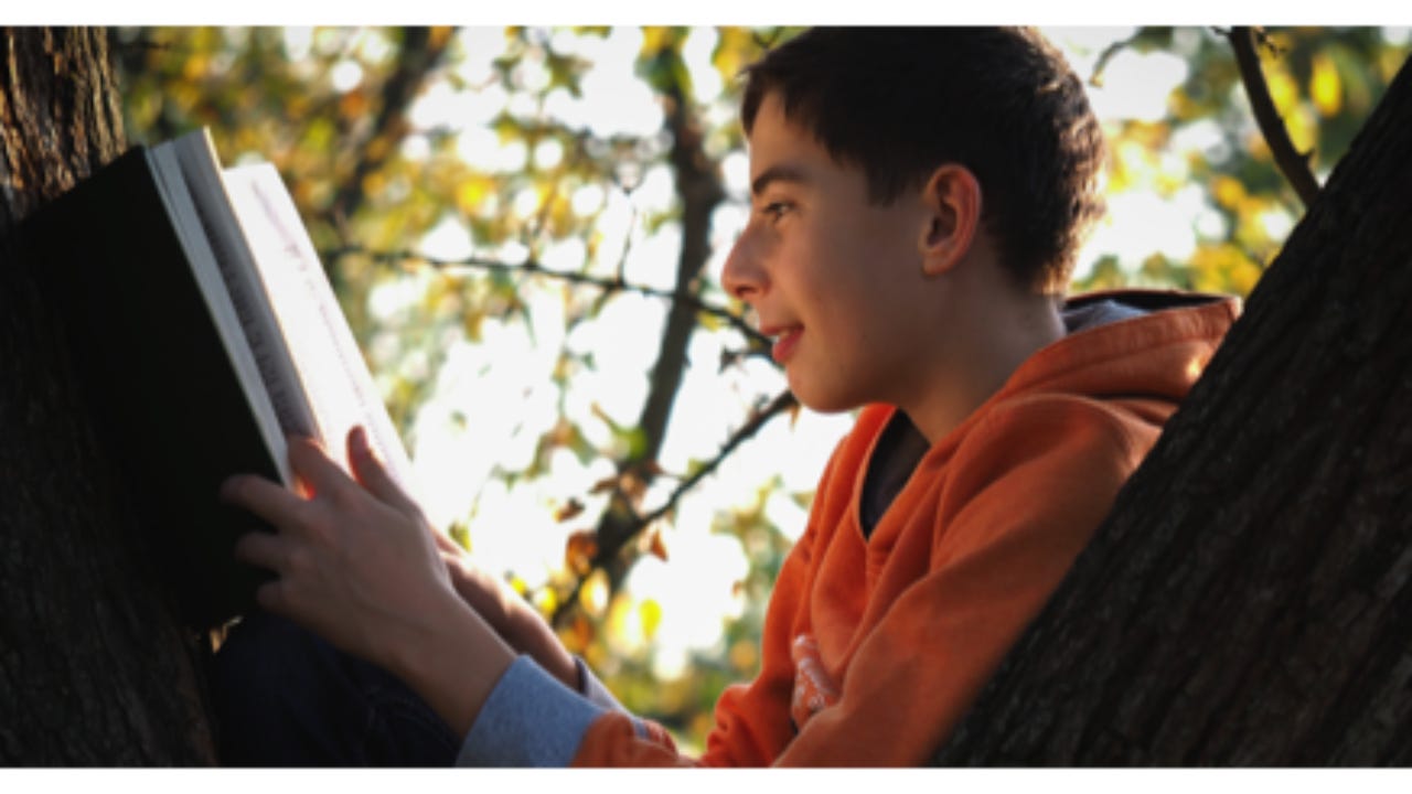 Want Teenage Boys to Read? Give Them Books About Heroes