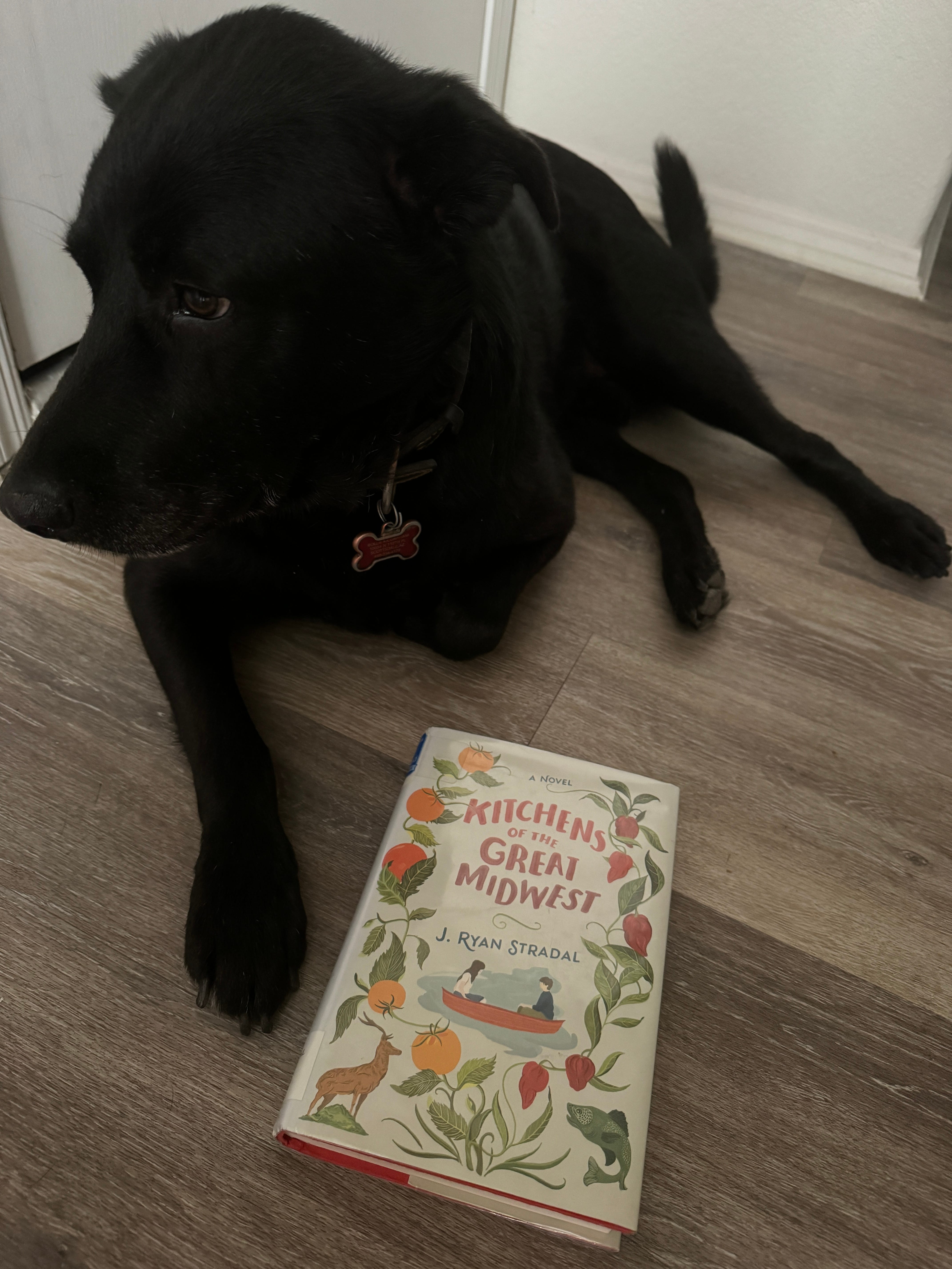 Dogs & Dior - by Amie McGraham - Cook & Tell