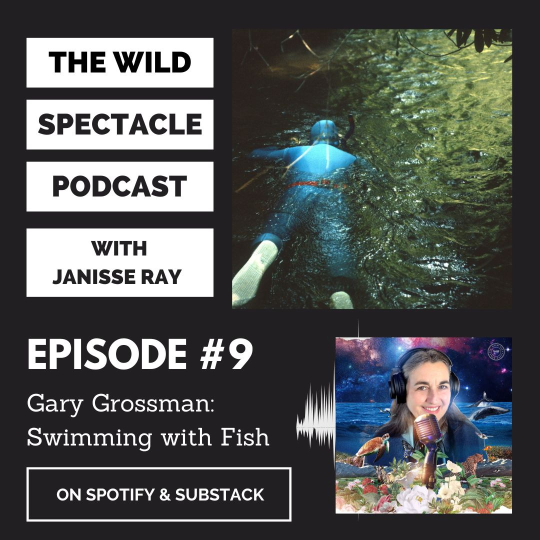 Ep #9 | Gary Grossman | Swimming with Fishes