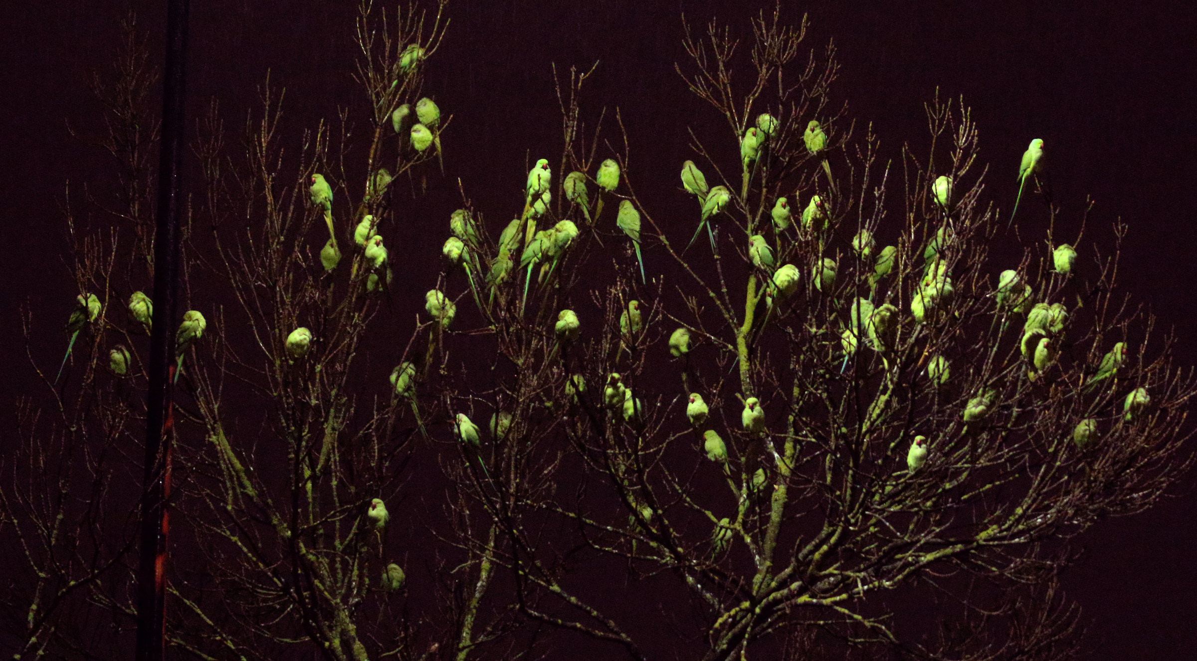 What To Look For In December (2023) - by David Bocking