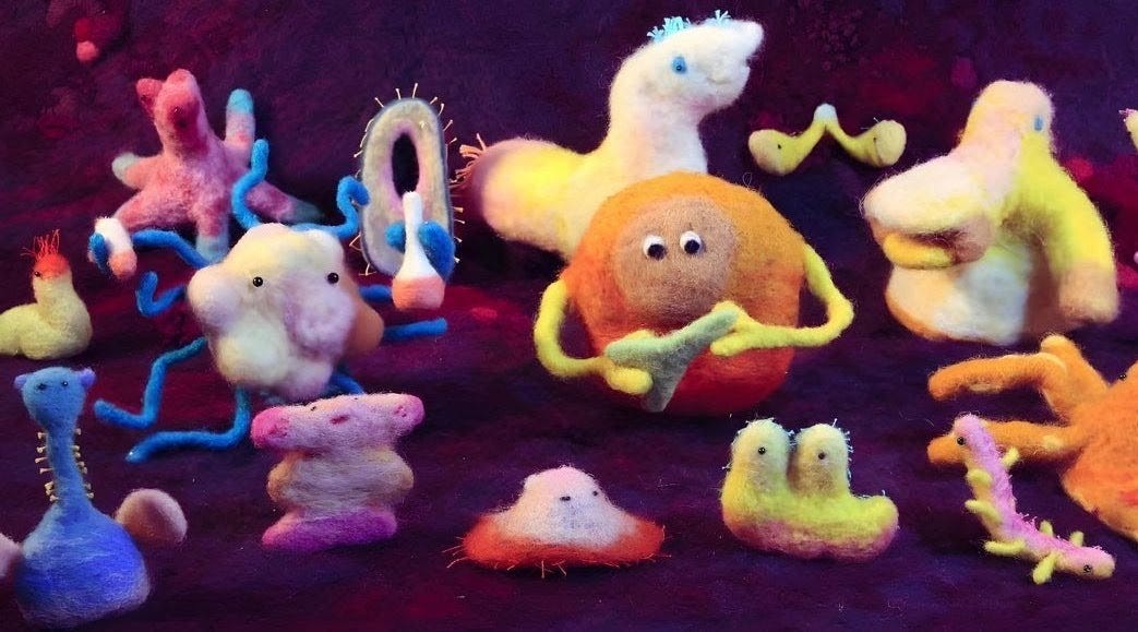 Review of Netflix's Hack Your Health - by Rachel Katz