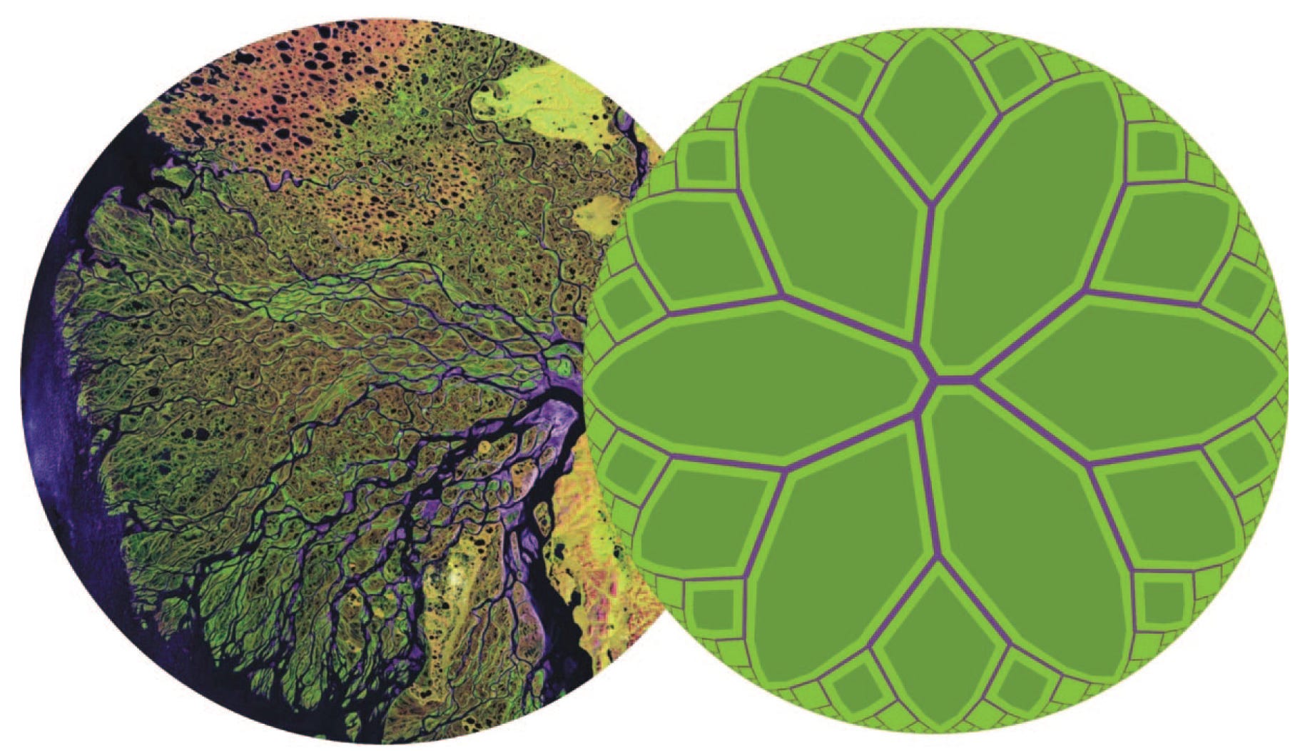 Evolving into a Better Design: Humans and Technology as One