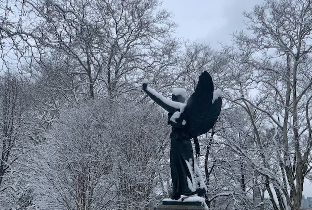 Snow Angel - by Melissa Mistretta - Thinking Man