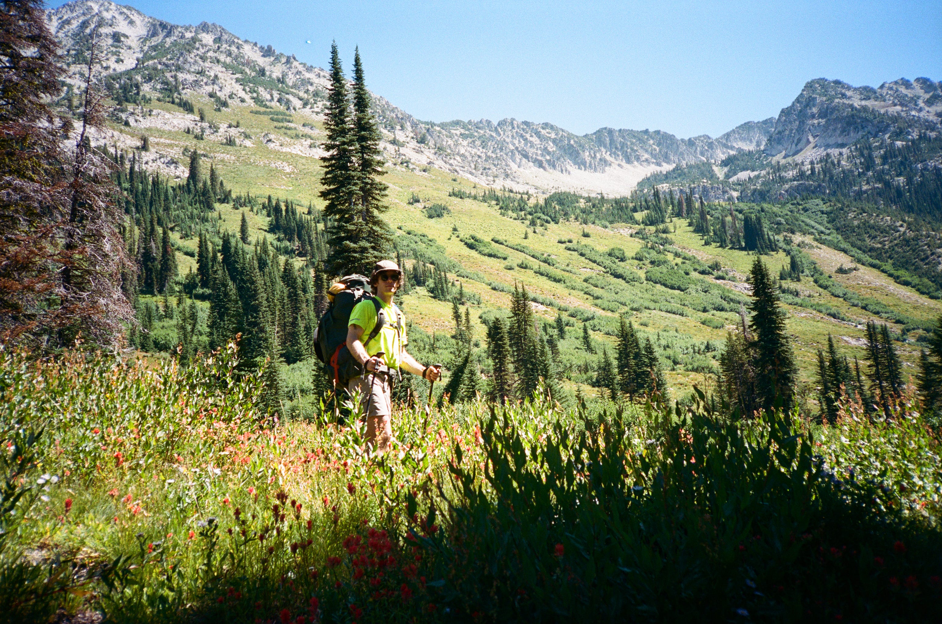 scorp 4 scorp - by sara jannette sutter - sara jannette