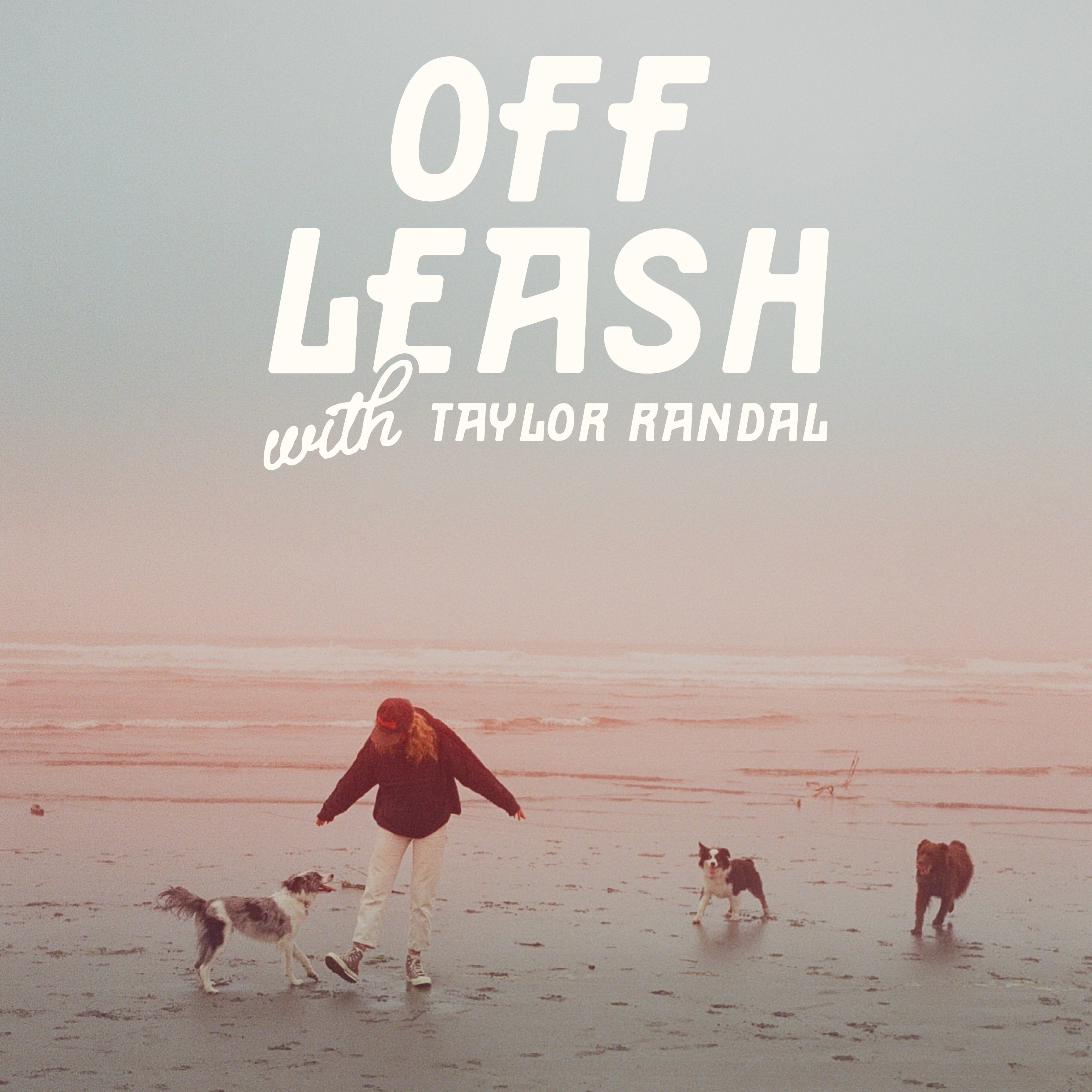 Taylor Randal | Substack